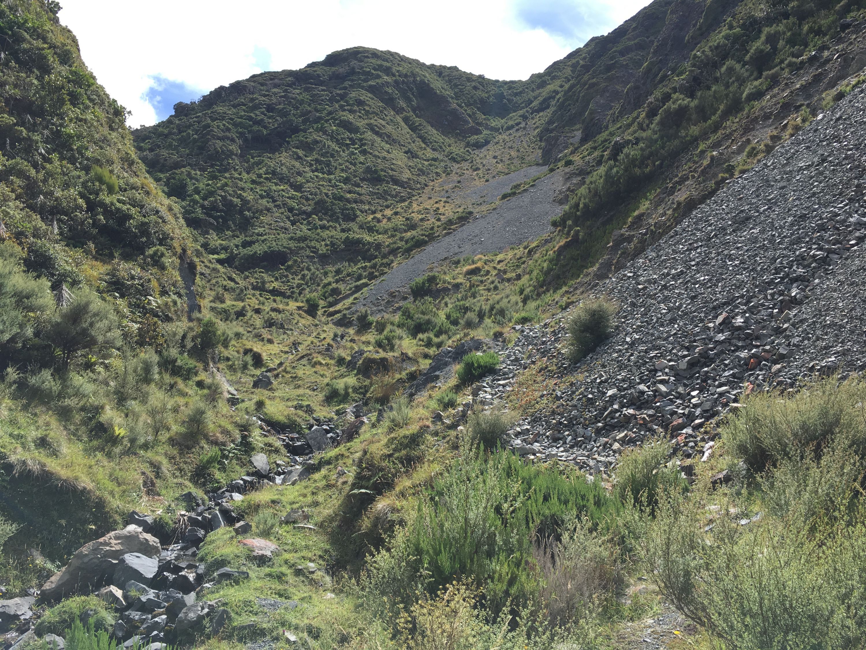 Mt Matthews - Mukamuka Loop, Wellington - Trails Photo Gallery - Wild ...