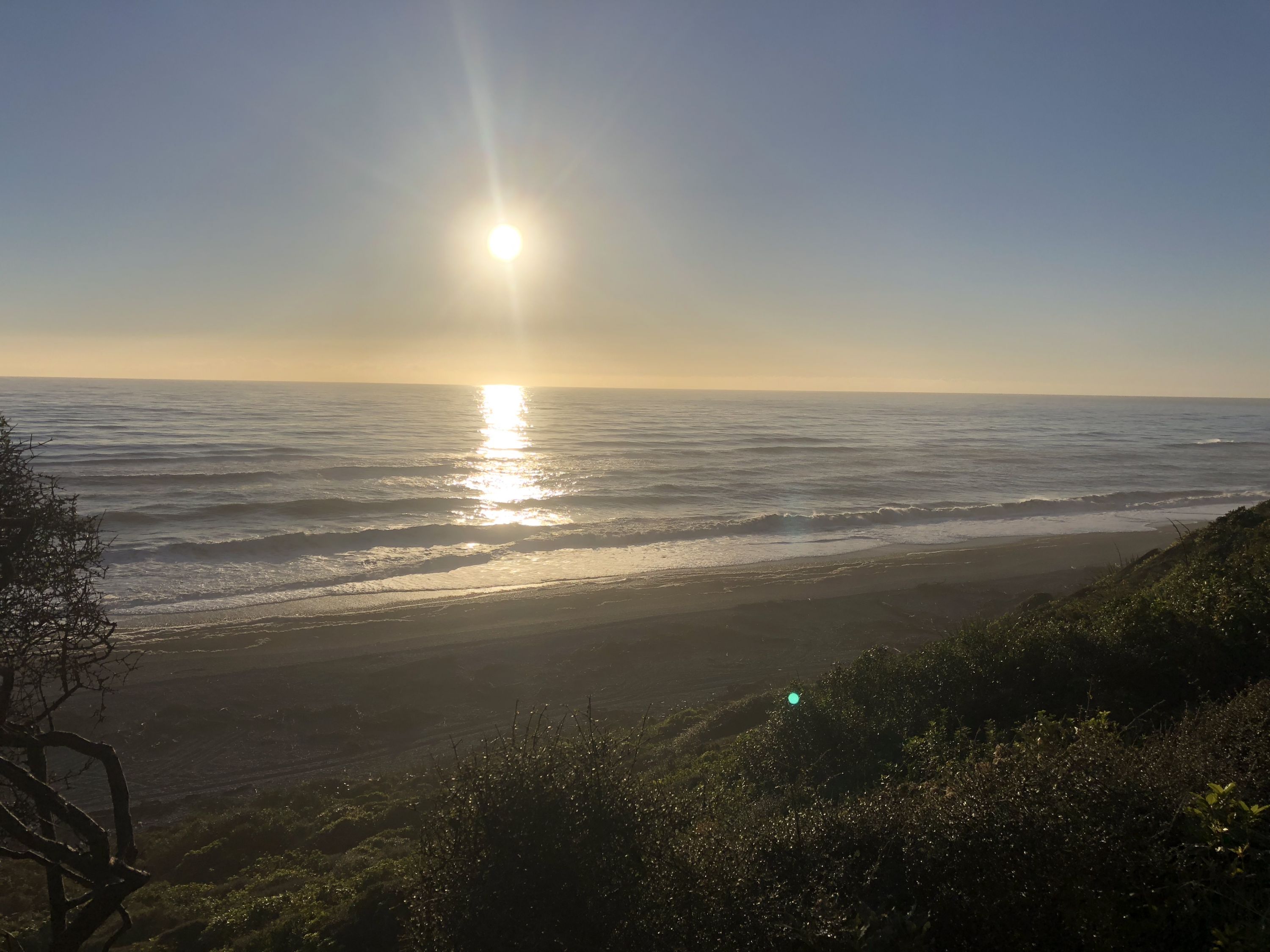 Point Elizabeth Track, West Coast - Trails Photo Gallery - Wild Things