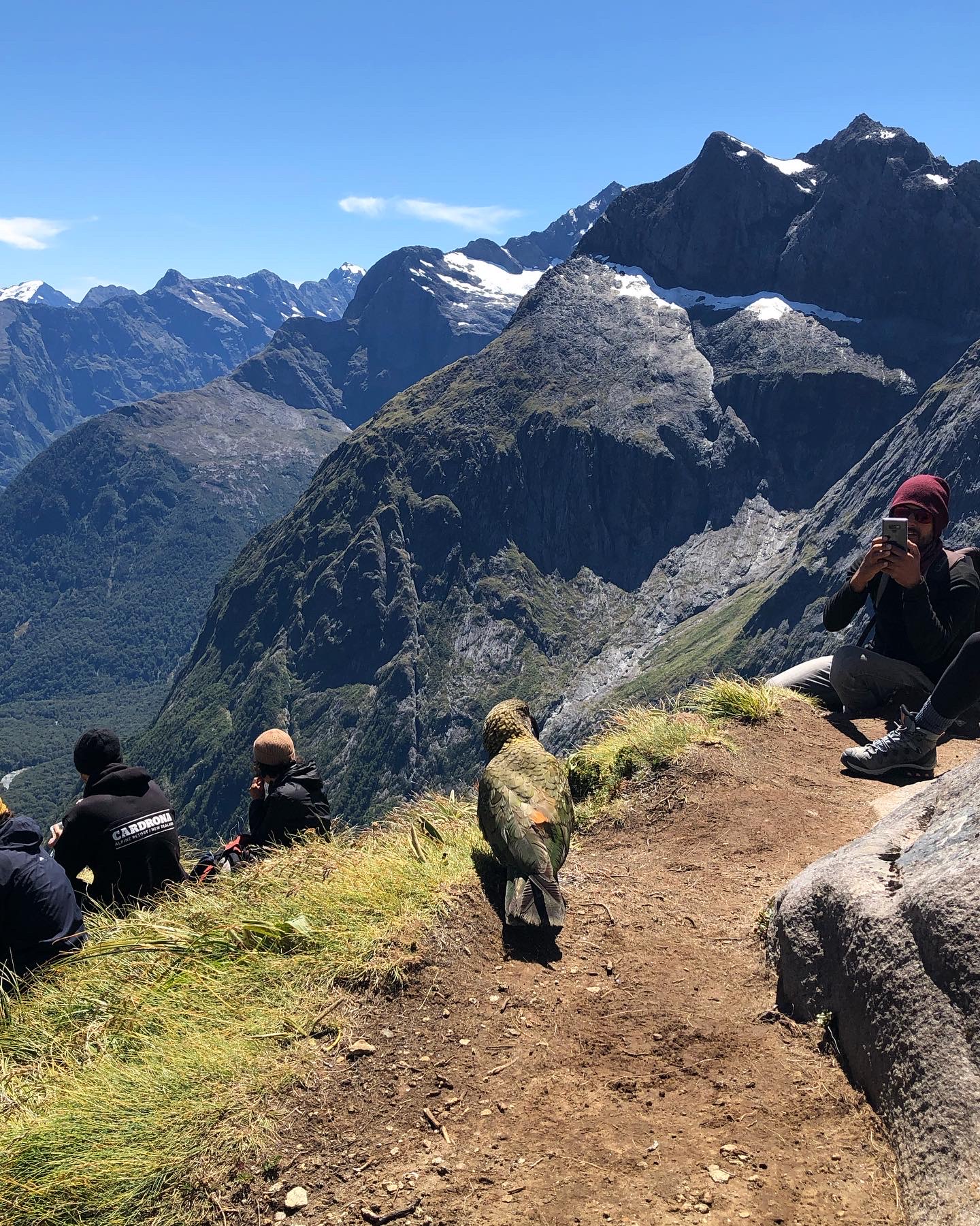 Gobsmacking Gertrude, Southland - Trails Photo Gallery - Wild Things