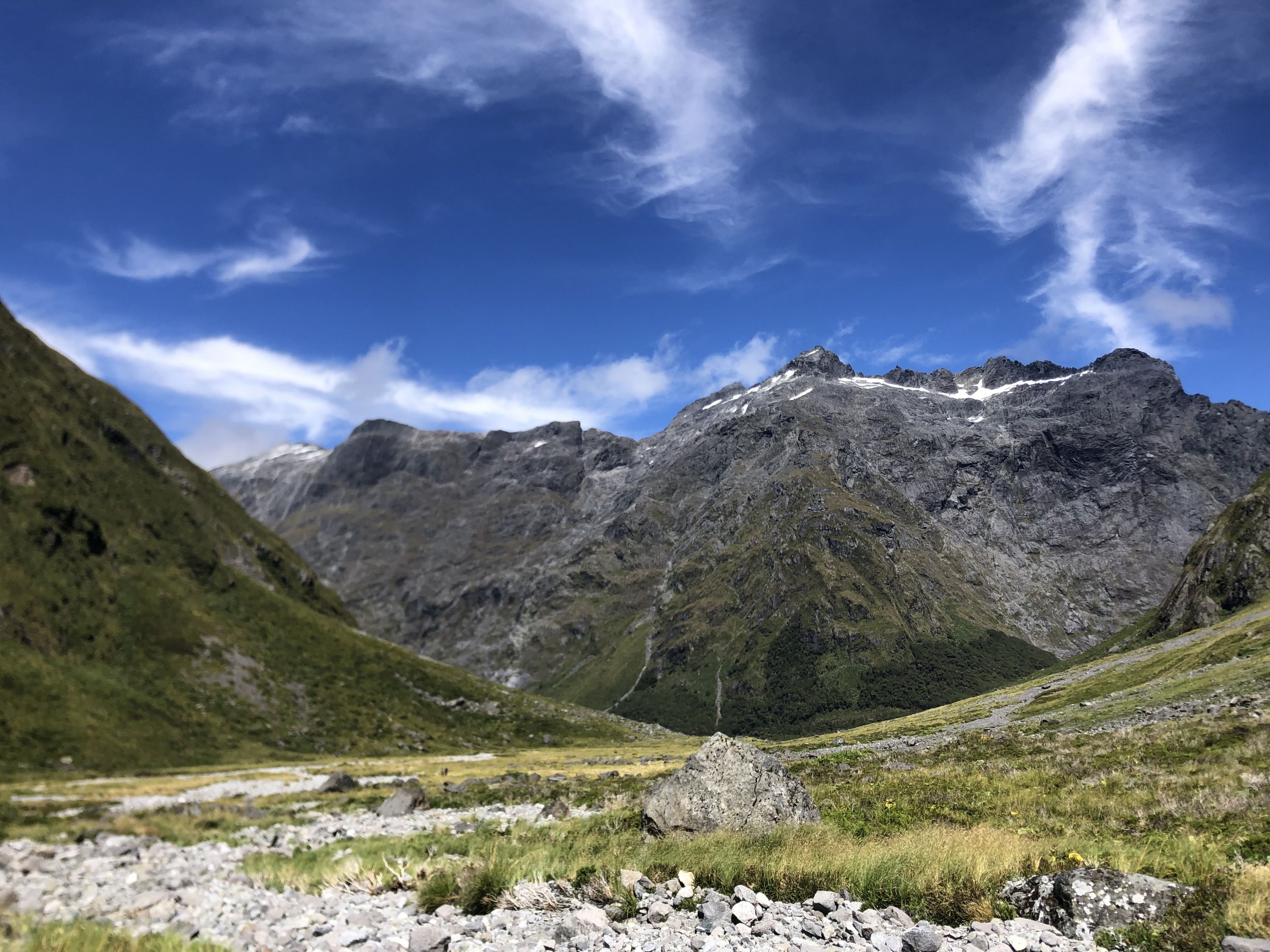 Gobsmacking Gertrude, Southland - Trails Photo Gallery - Wild Things