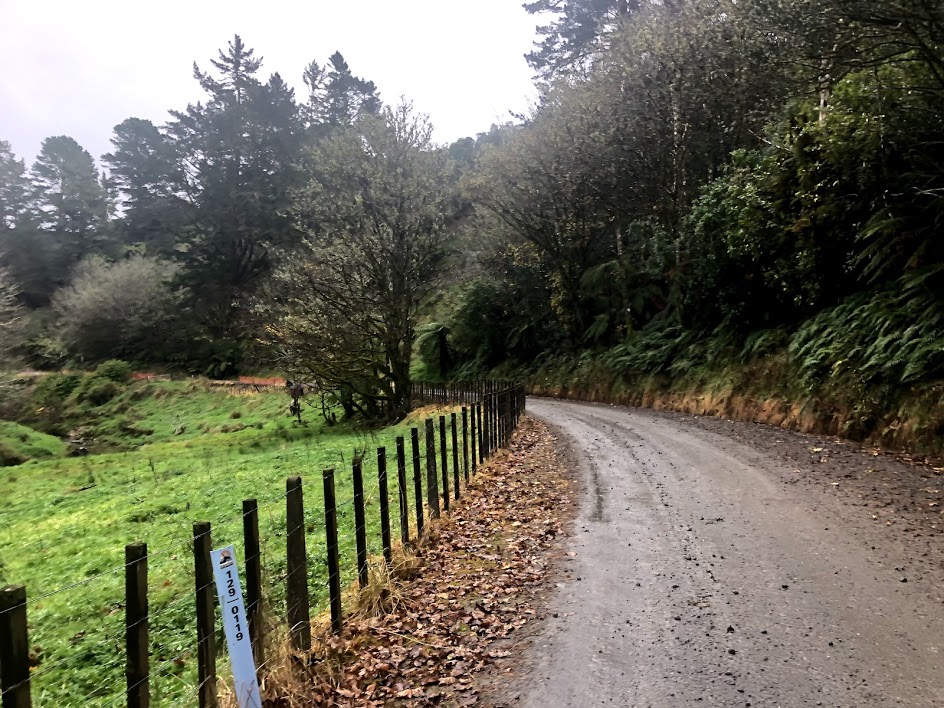 The Old Whangamomona Road, Taranaki - Trails Photo Gallery - Wild Things