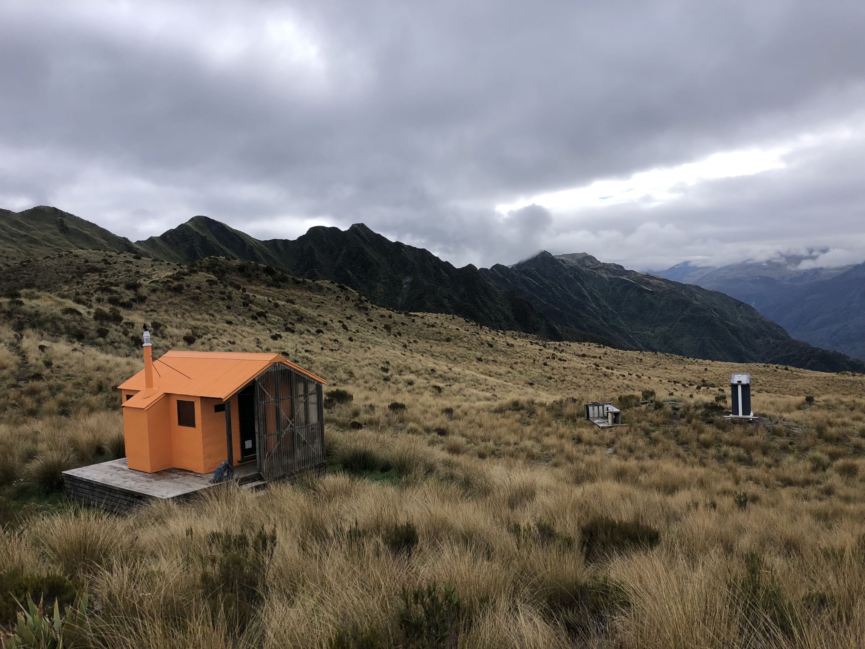 Mt Brown Hut, West Coast - Trails Photo Gallery - Wild Things