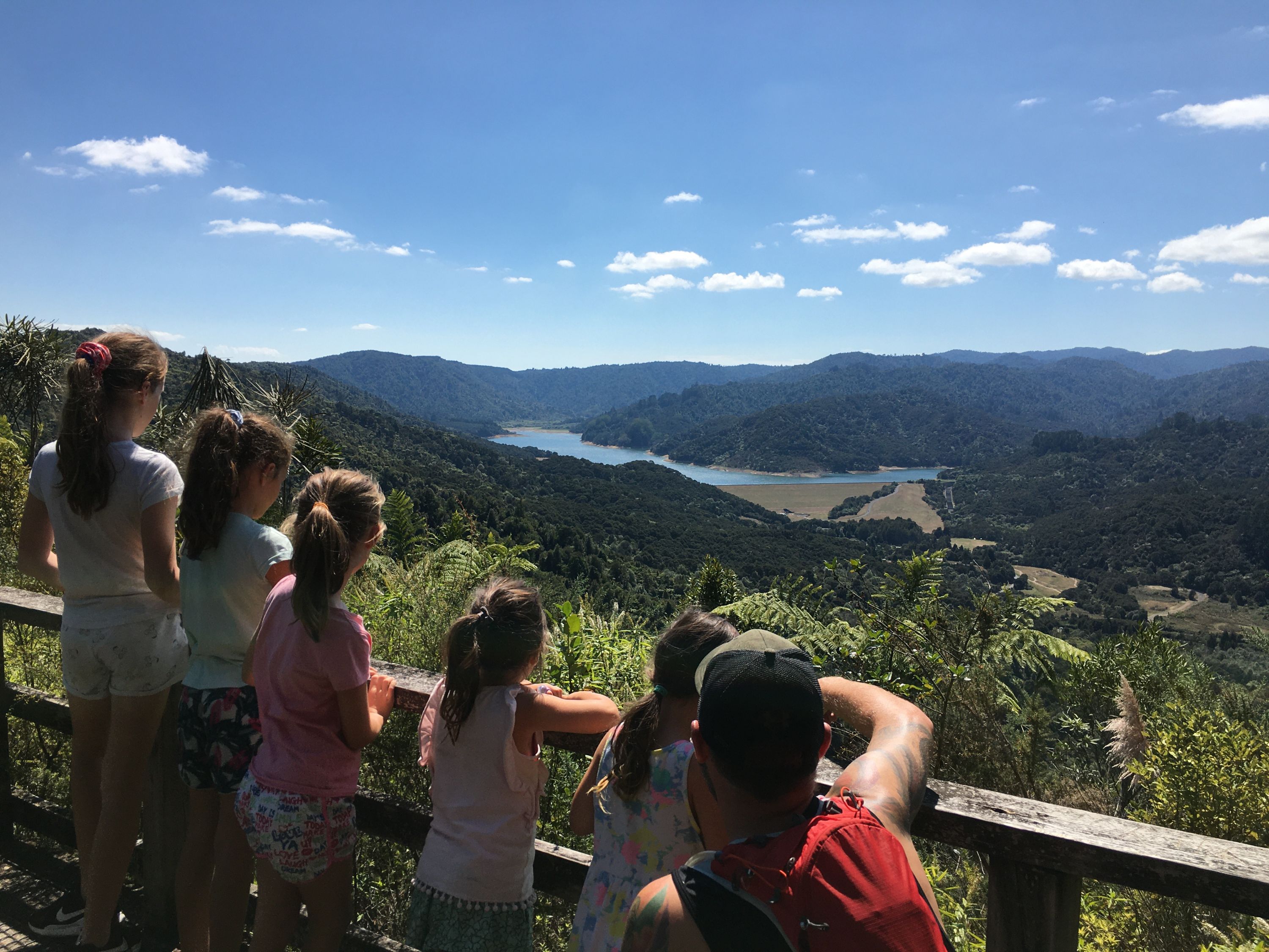 Wairoa Suspension Loop, Auckland - Trails Photo Gallery - Wild Things