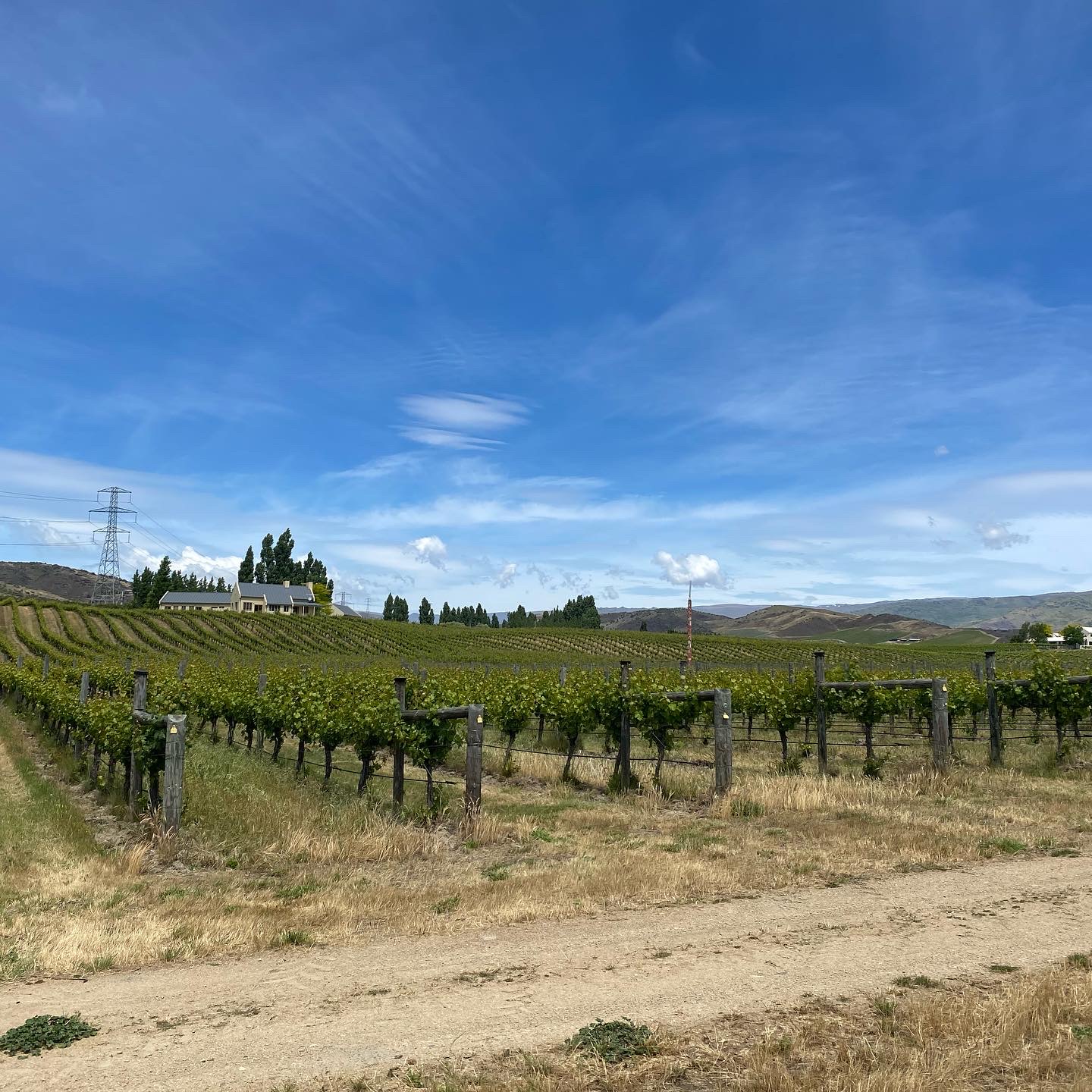Lake Dunstan Trail, Otago - Trails Photo Gallery - Wild Things
