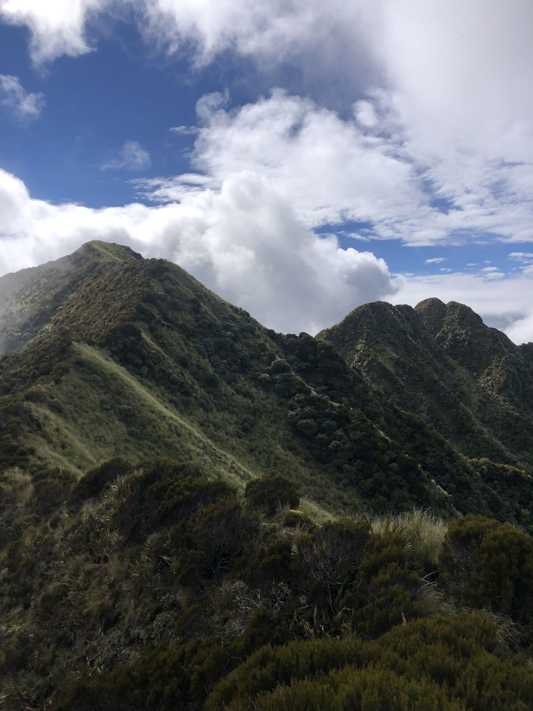 Mt Brown Hut, West Coast - Trails Photo Gallery - Wild Things