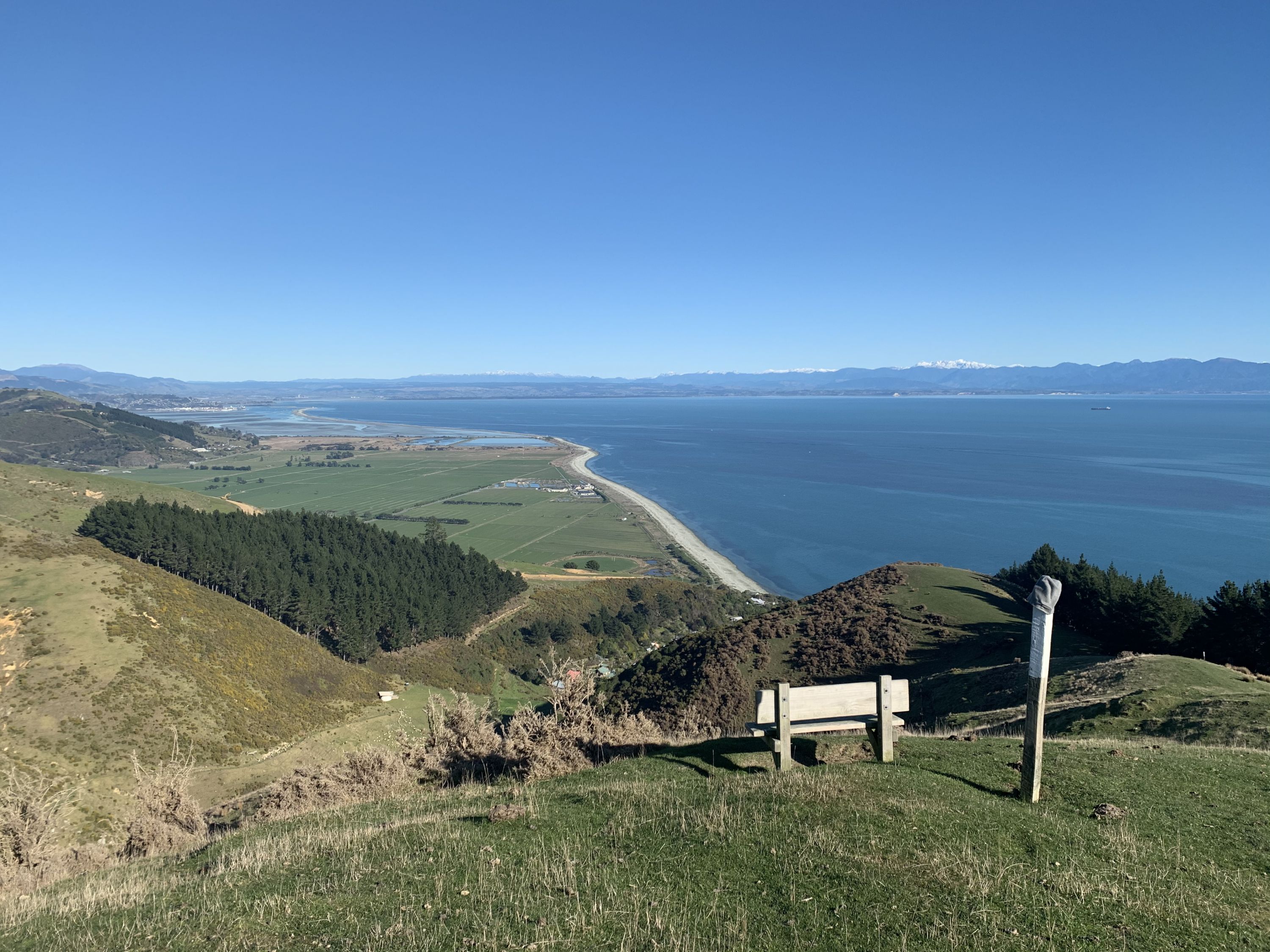 Cable Bay - Glenduan, Nelson - Trails Photo Gallery - Wild Things