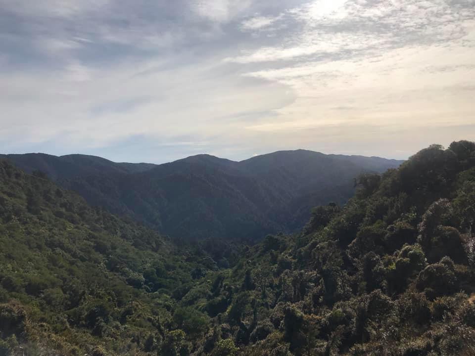 Mukamuka Munter, Wellington - Trails Photo Gallery - Wild Things