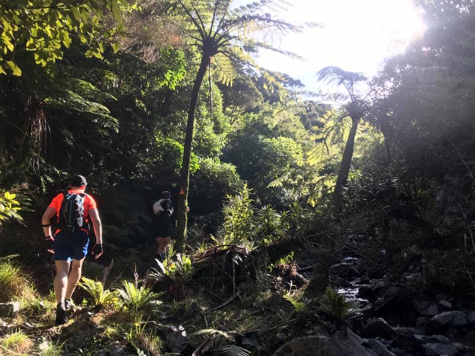 Mukamuka Munter, Wellington - Trails Photo Gallery - Wild Things