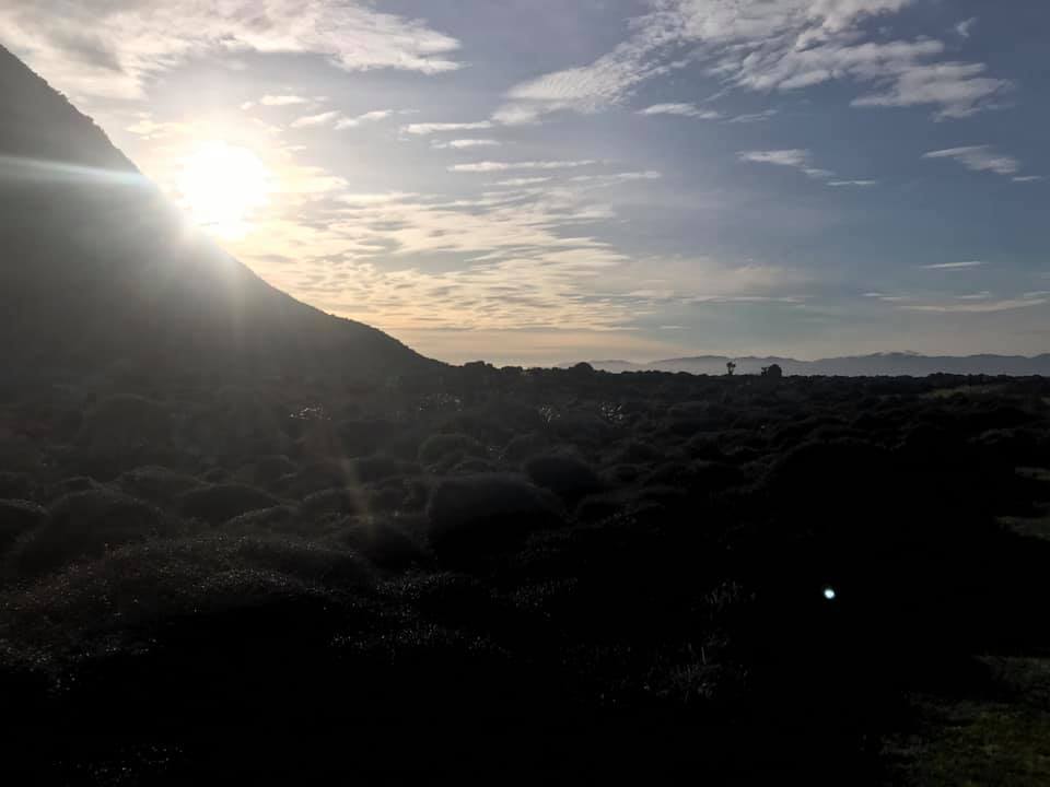 Mukamuka Munter, Wellington - Trails Photo Gallery - Wild Things