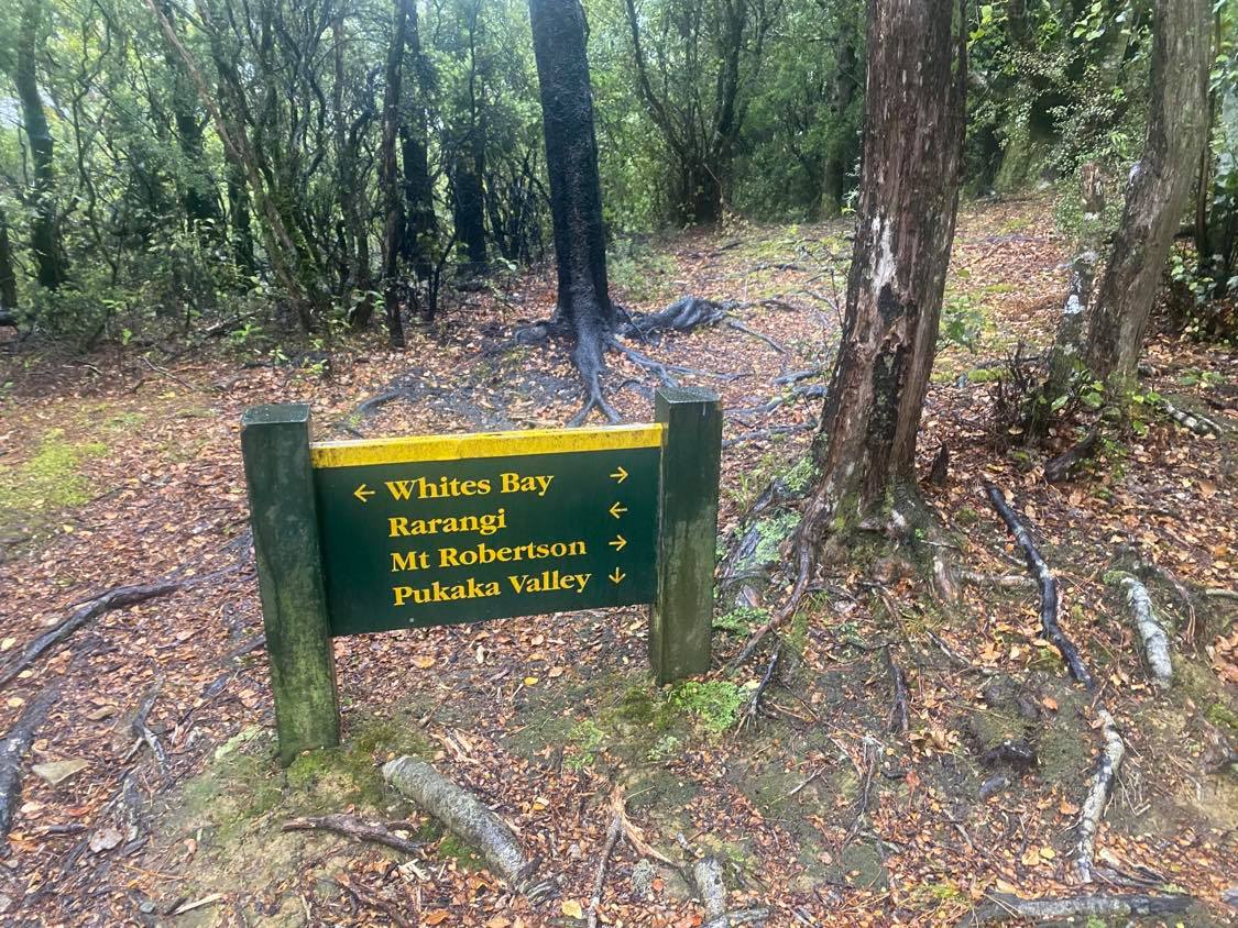 Pukaka Valley Track, Marlborough - Trails Photo Gallery - Wild Things