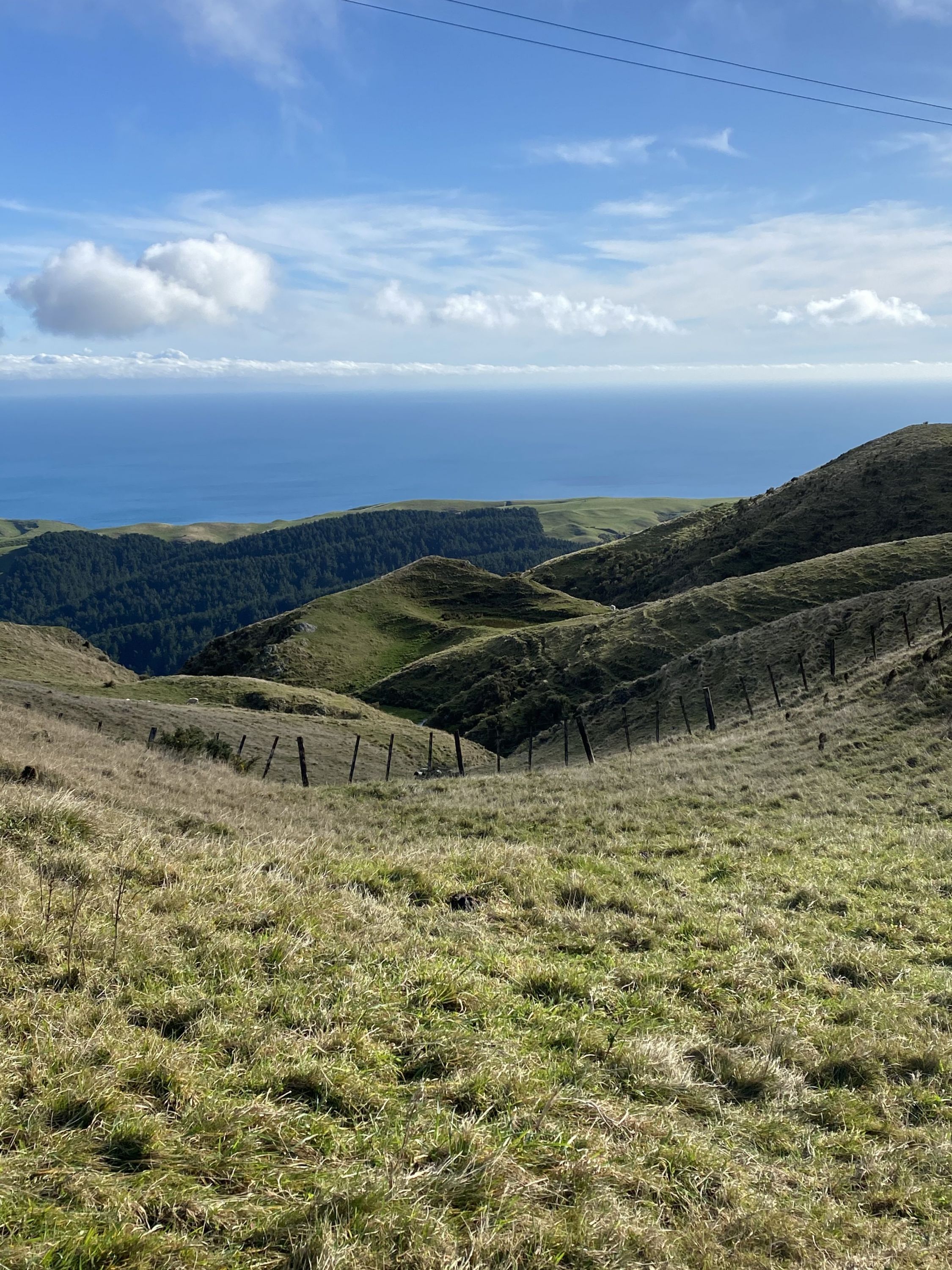 Colonial Knob - All the Hills, Wellington - Trails Photo Gallery - Wild ...