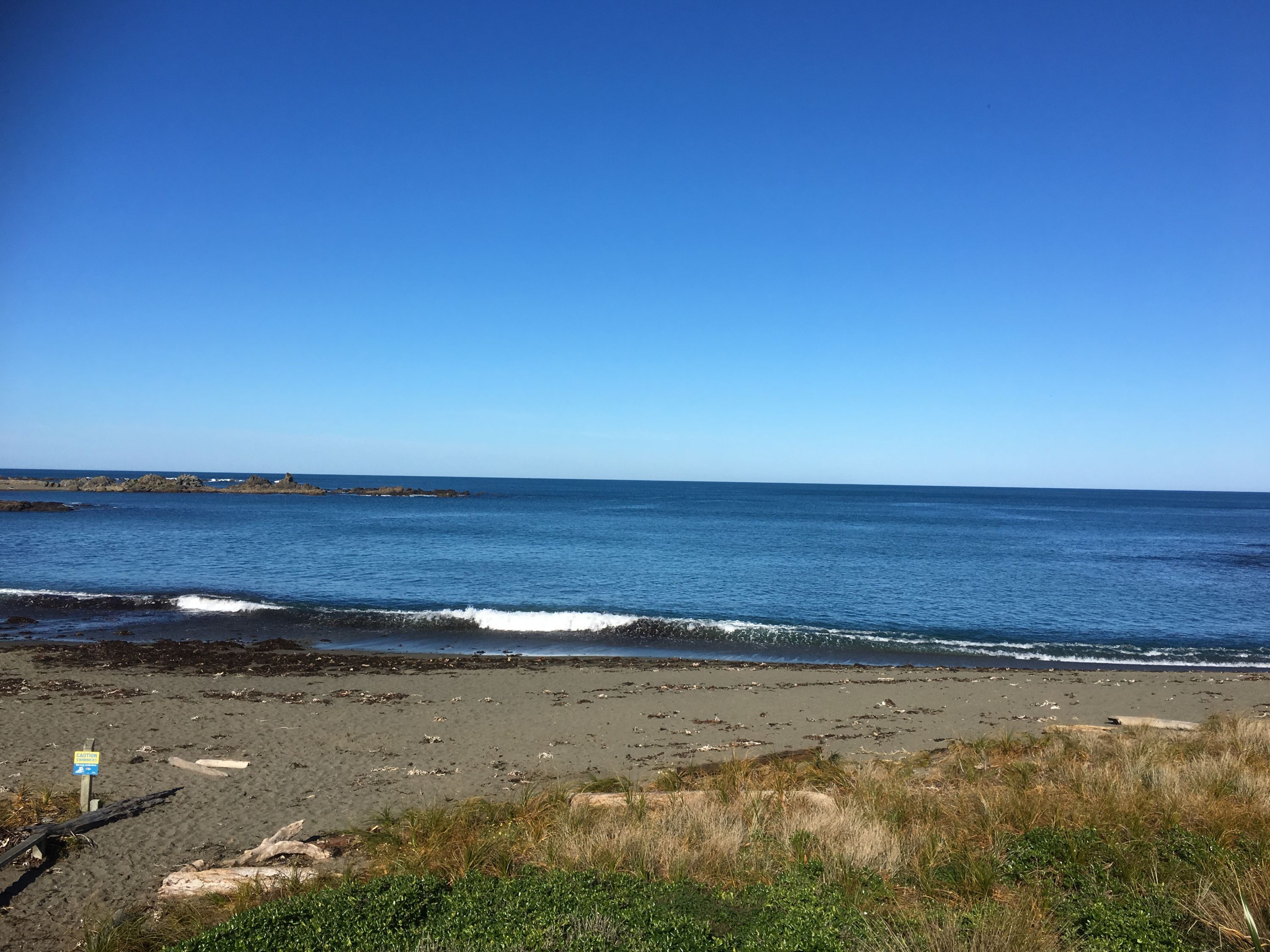 Southern Walkway, Wellington - Trails Photo Gallery - Wild Things