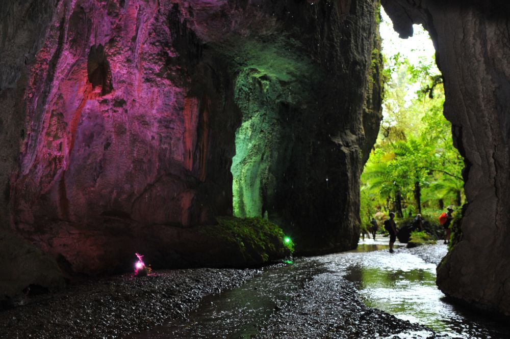 Waitomo Trail Run - Wild Things