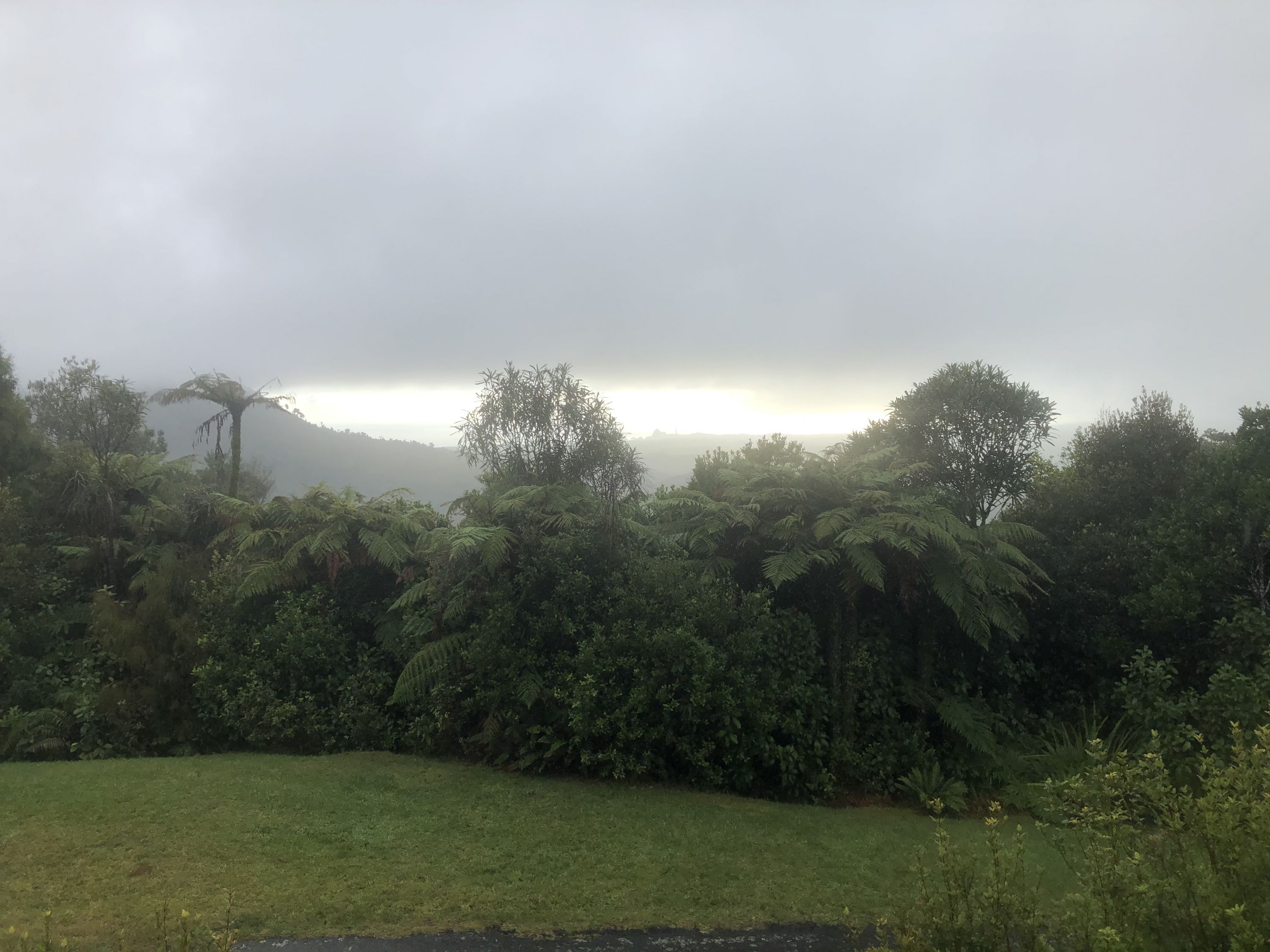 Rain Forest Romp at Pukeiti, Taranaki - Trails Photo Gallery - Wild Things