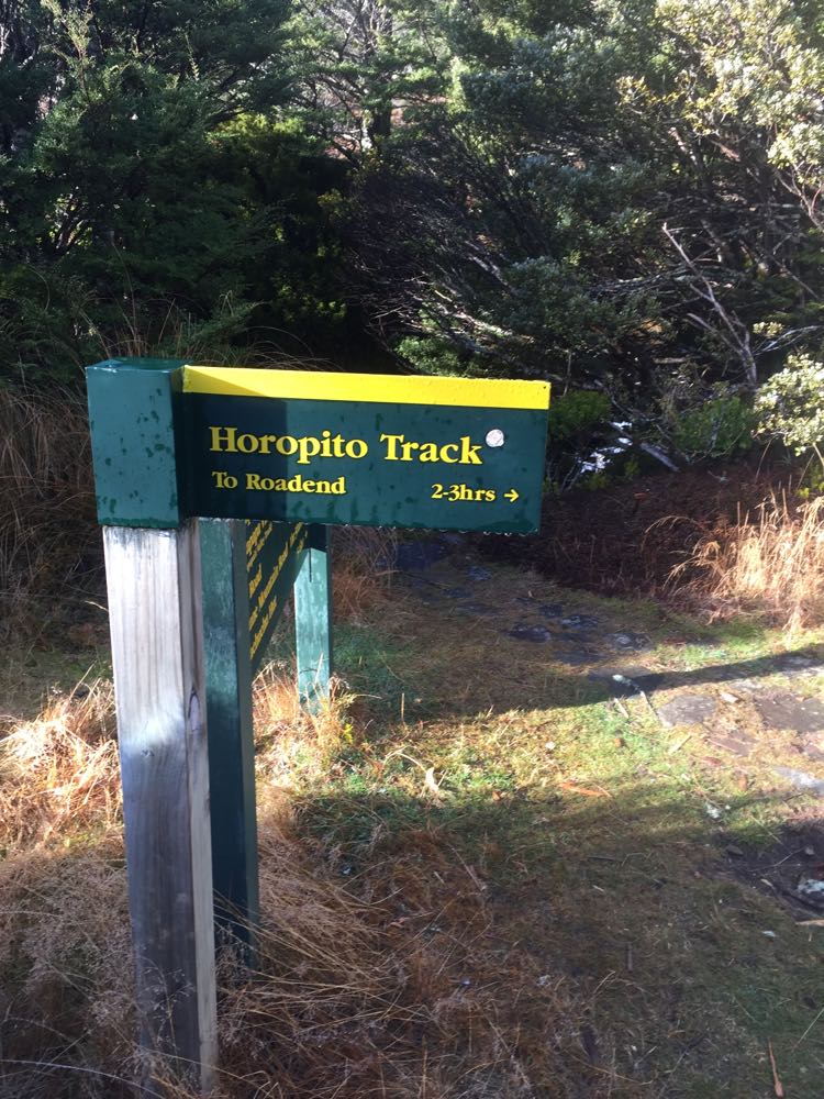 Horopito Schmito, Manawatu - Wanganui - Trails Photo Gallery - Wild Things