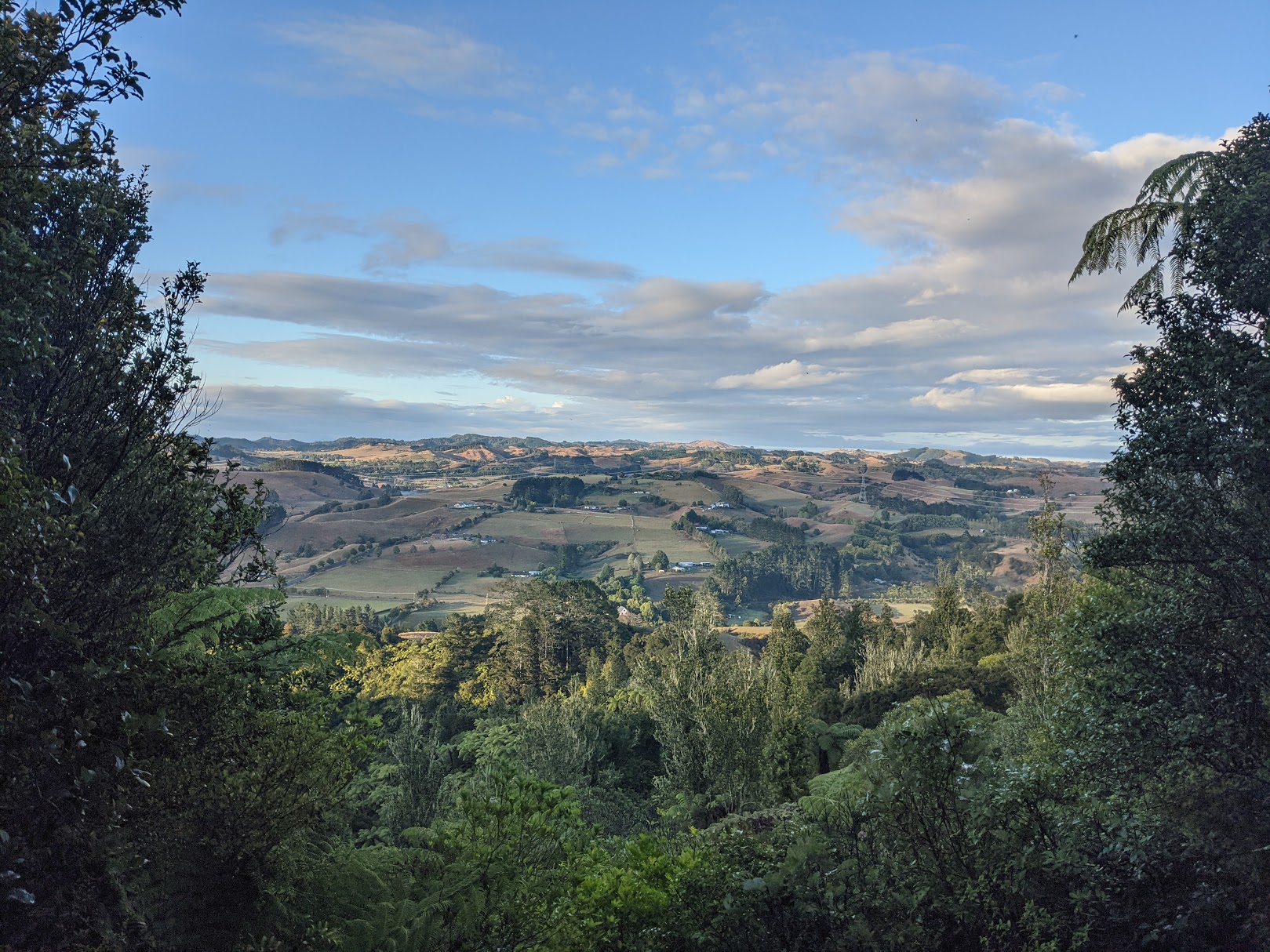 Wairoa Suspension Loop, Auckland - Trails Photo Gallery - Wild Things