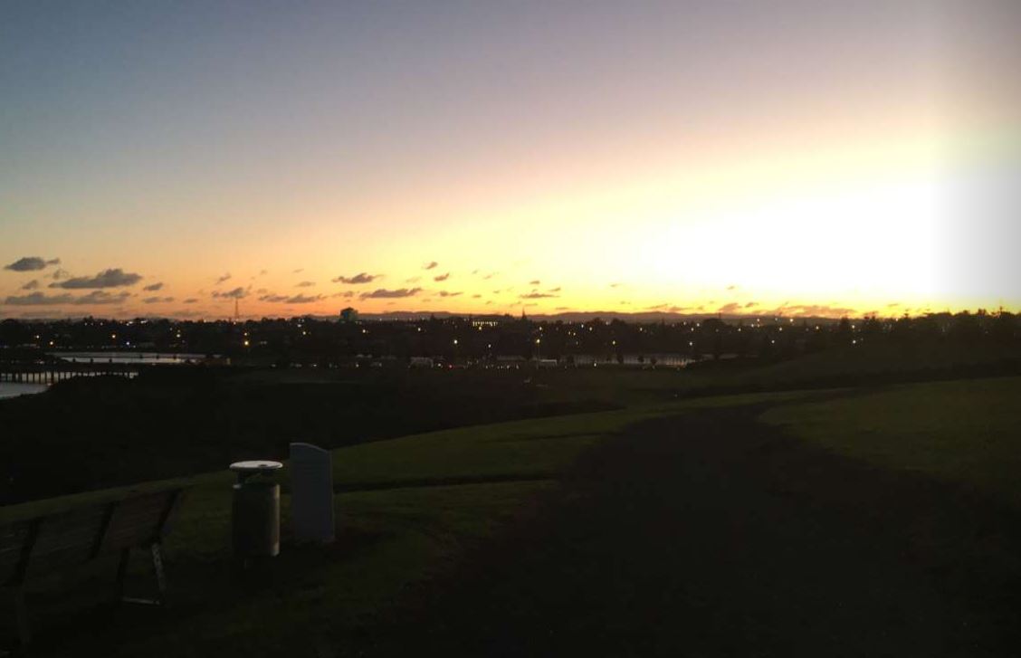 Highbrook Business Park, Auckland - Trails Photo Gallery - Wild Things