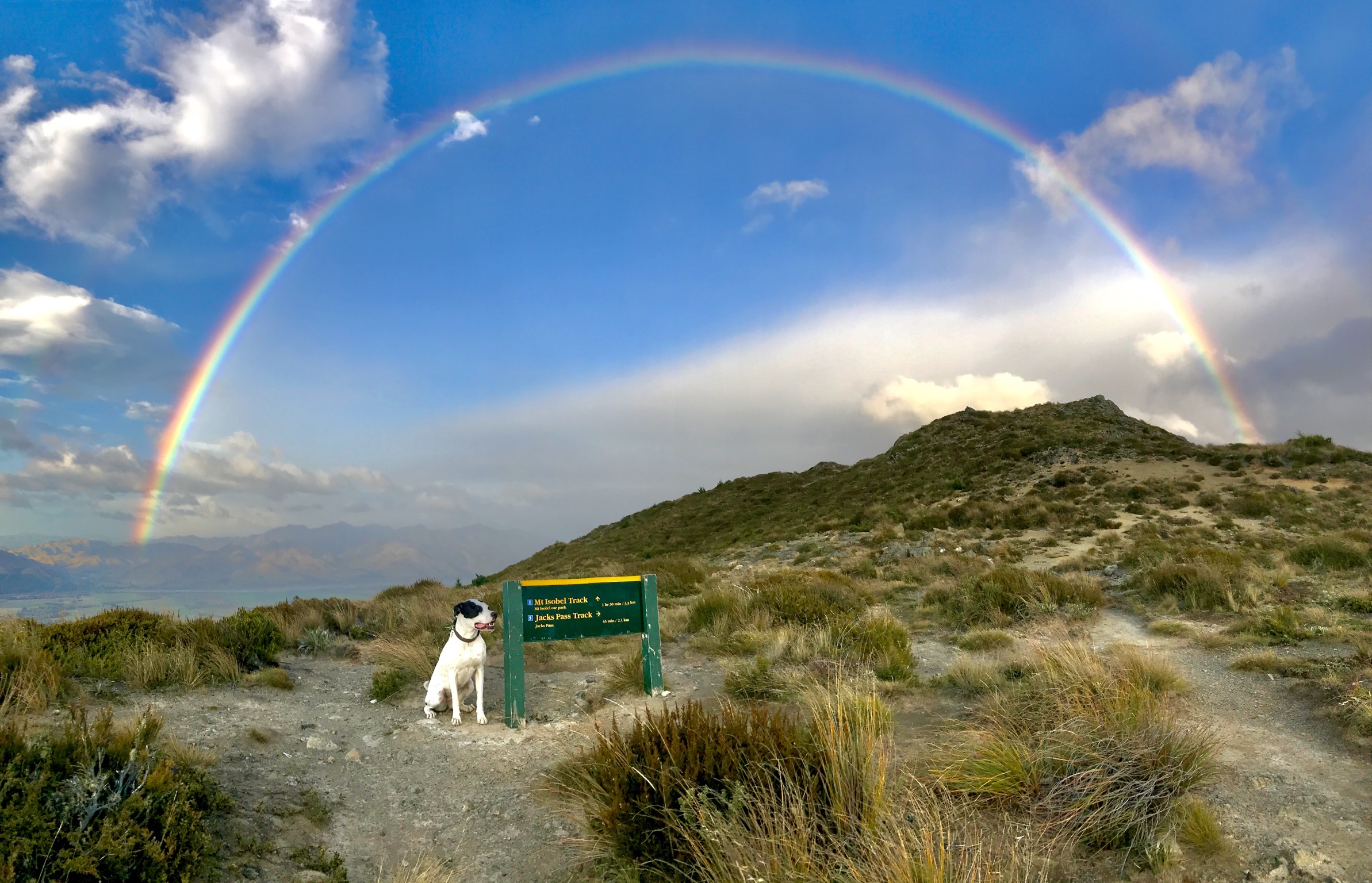 Mt Isobel , Canterbury - Trails Photo Gallery - Wild Things