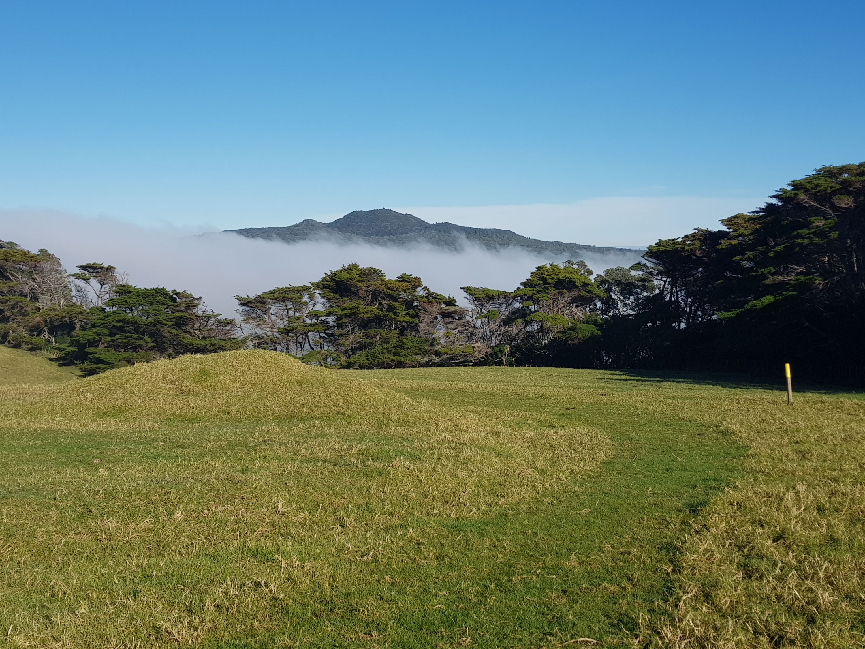 Rangitoto - Motutapu Double V2, Auckland - Trails Photo Gallery - Wild ...