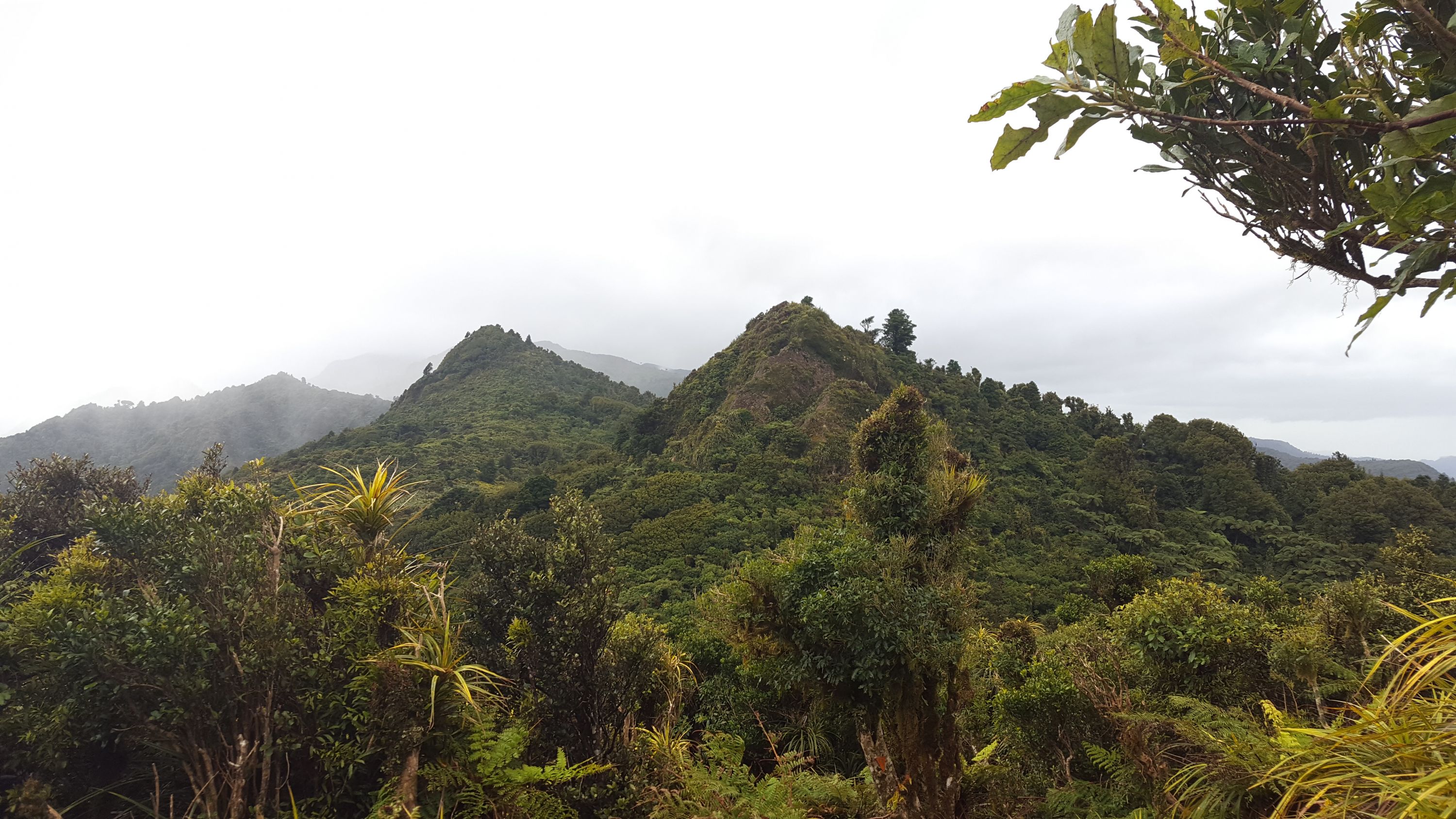 Tuahu Traverse, Bay of Plenty - Trails Photo Gallery - Wild Things