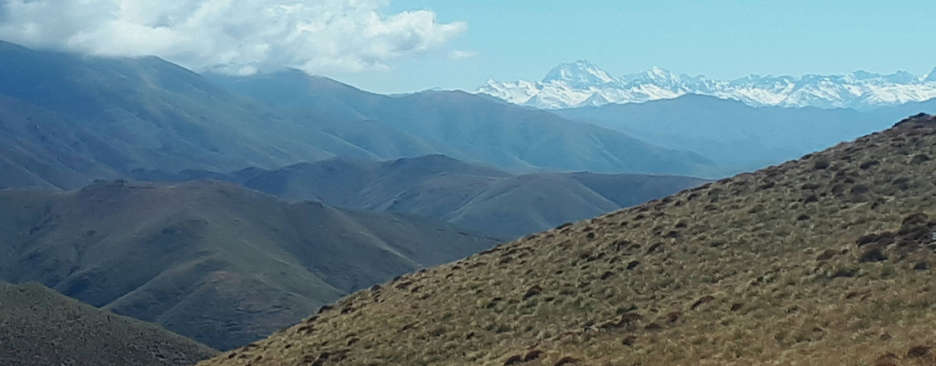Mt Nimrod Easement Track, Canterbury - Trails Photo Gallery - Wild Things