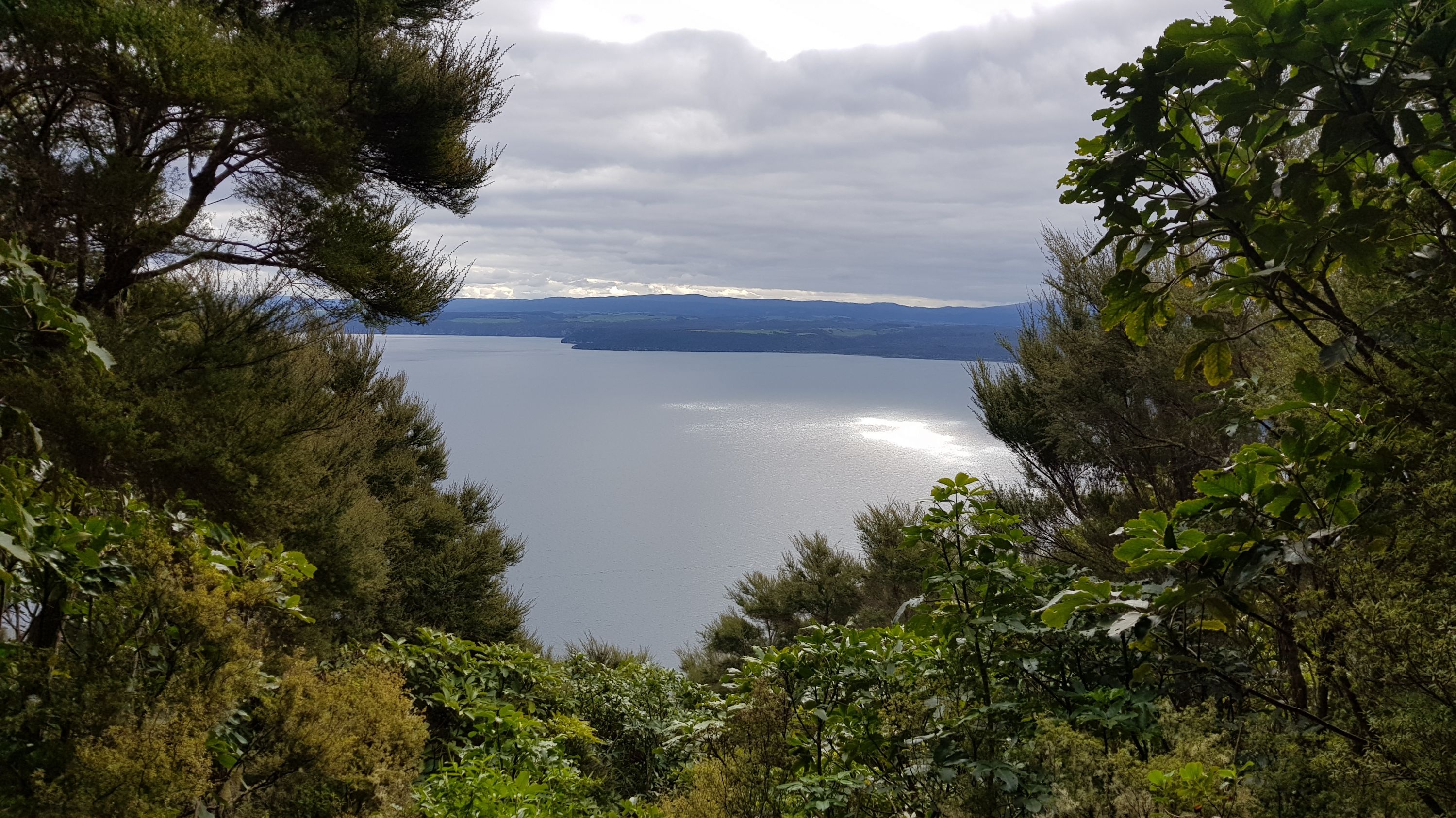 W2K, Waikato - Trails Photo Gallery - Wild Things