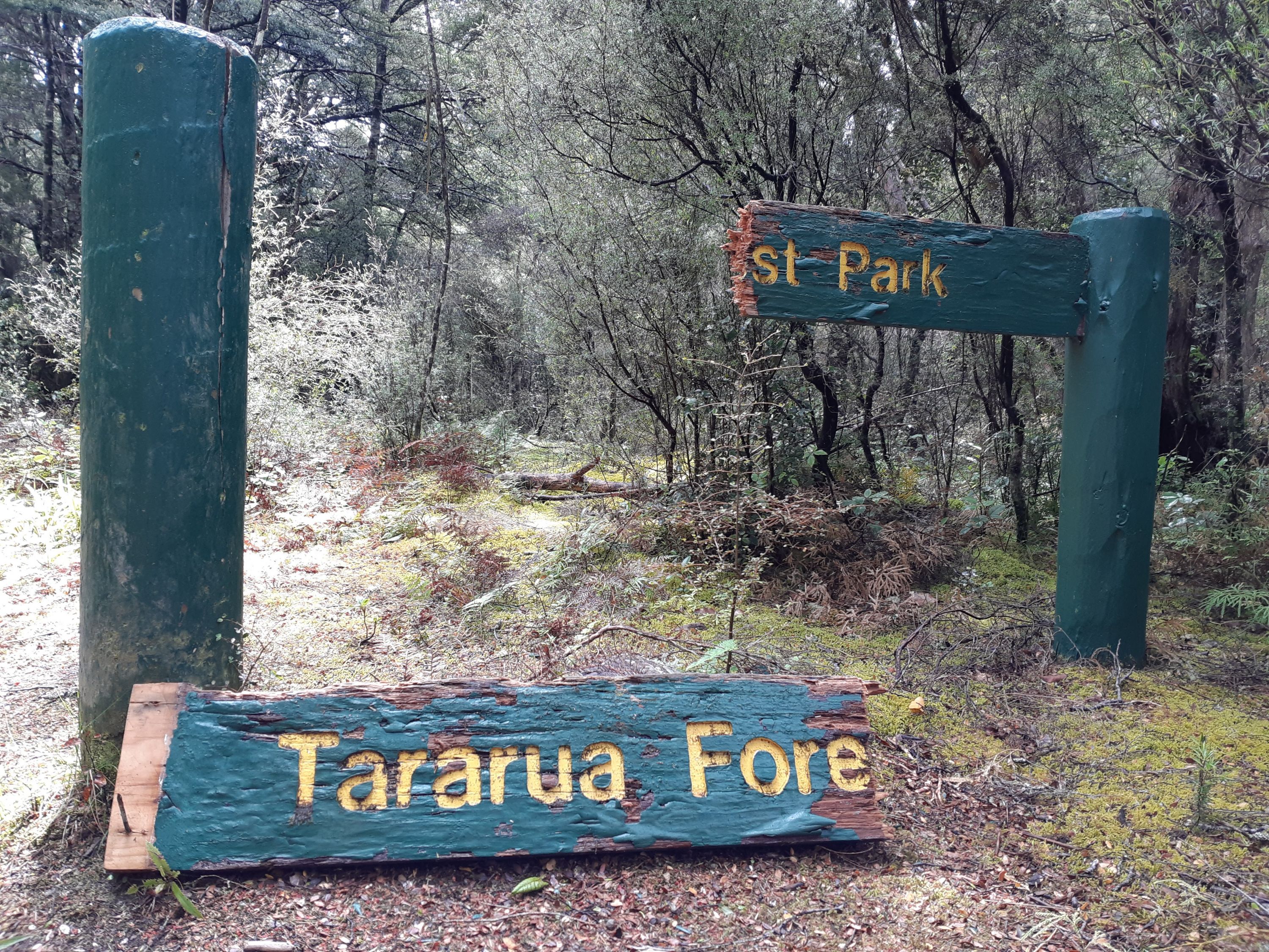 Kaituna to Holdsworth Lodge, Wellington - Trails Photo Gallery - Wild ...
