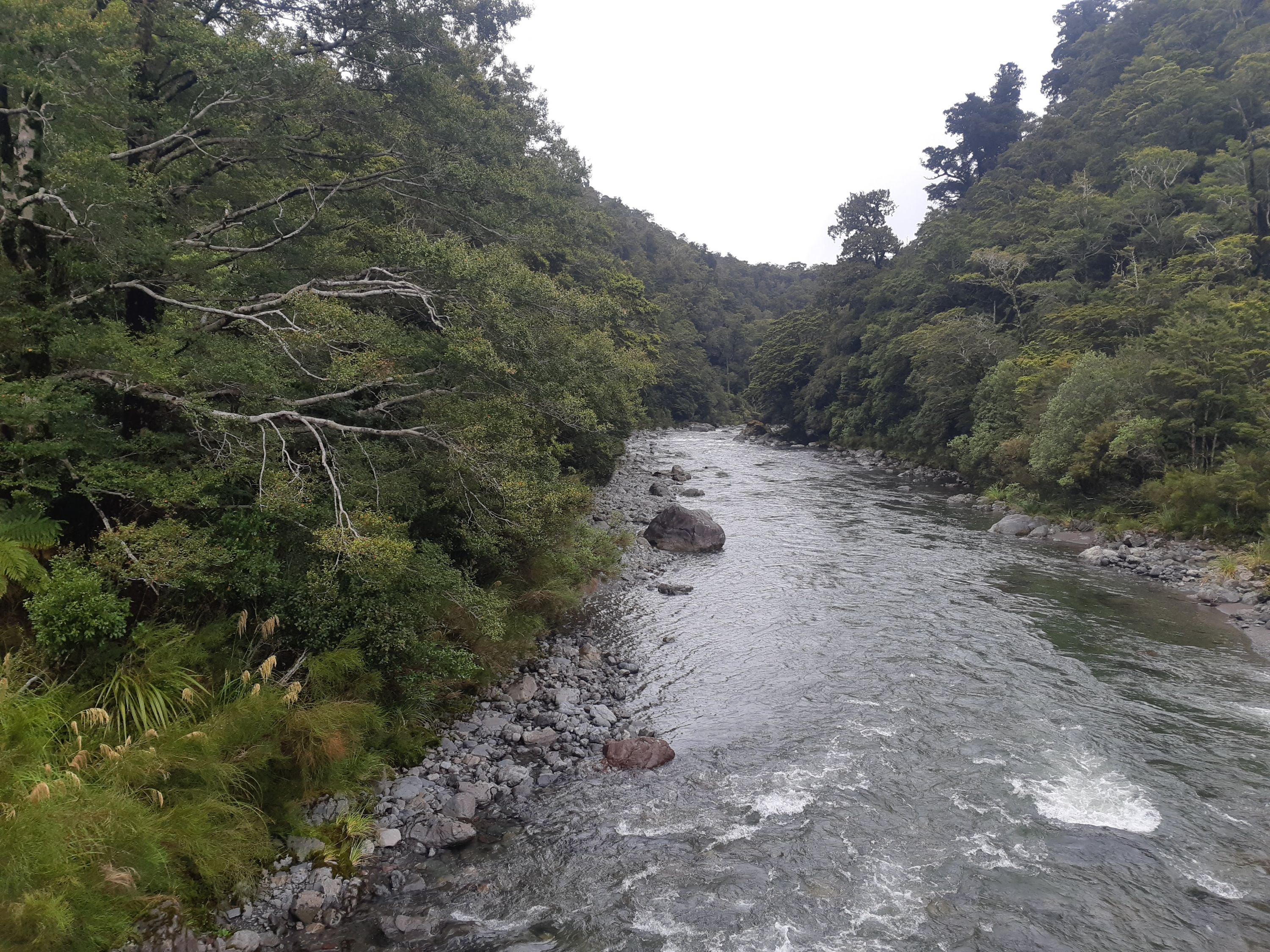Kaituna to Holdsworth Lodge, Wellington - Trails Photo Gallery - Wild ...