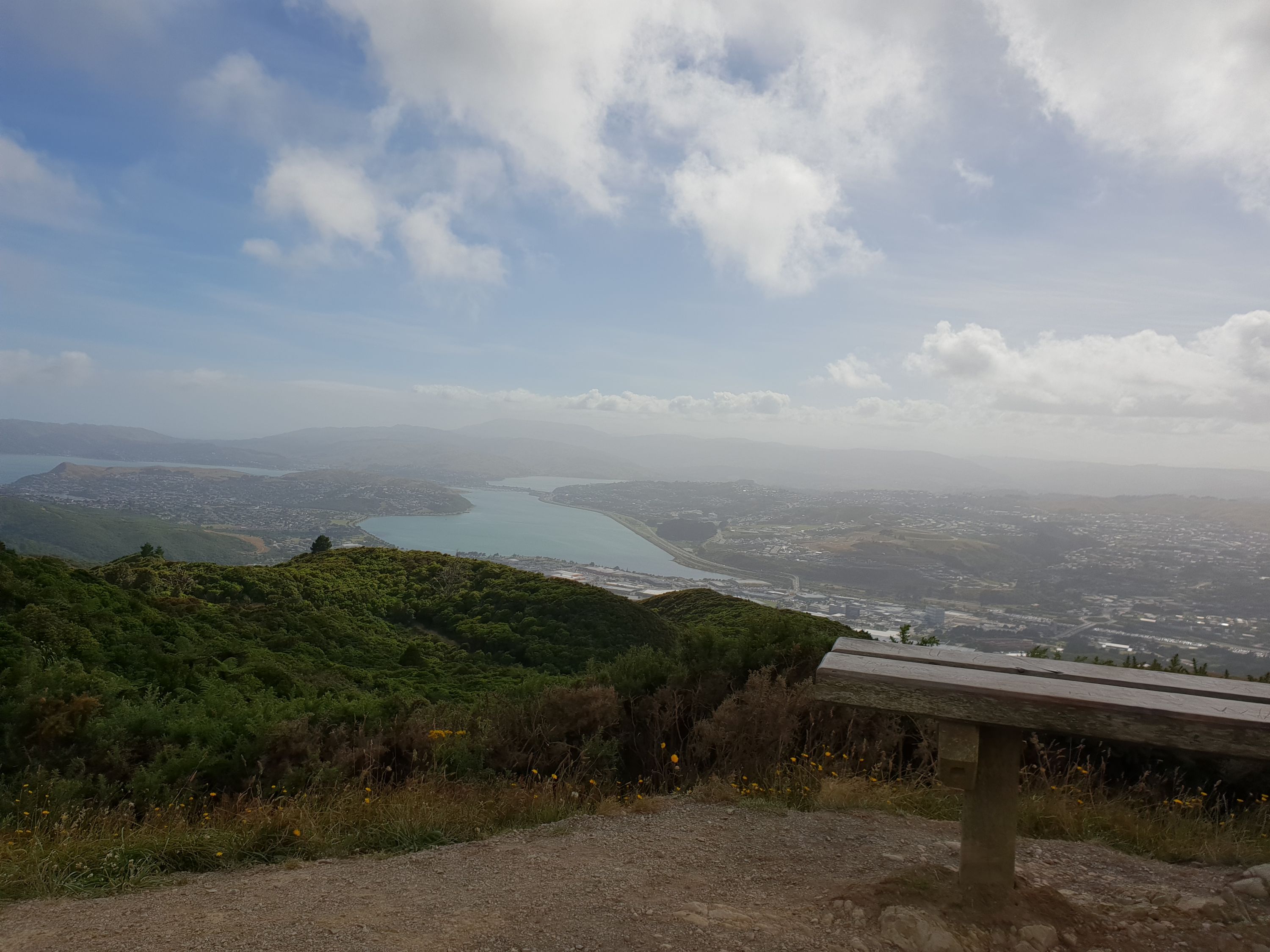 Colonial Knob Track, Wellington - Trails Photo Gallery - Wild Things