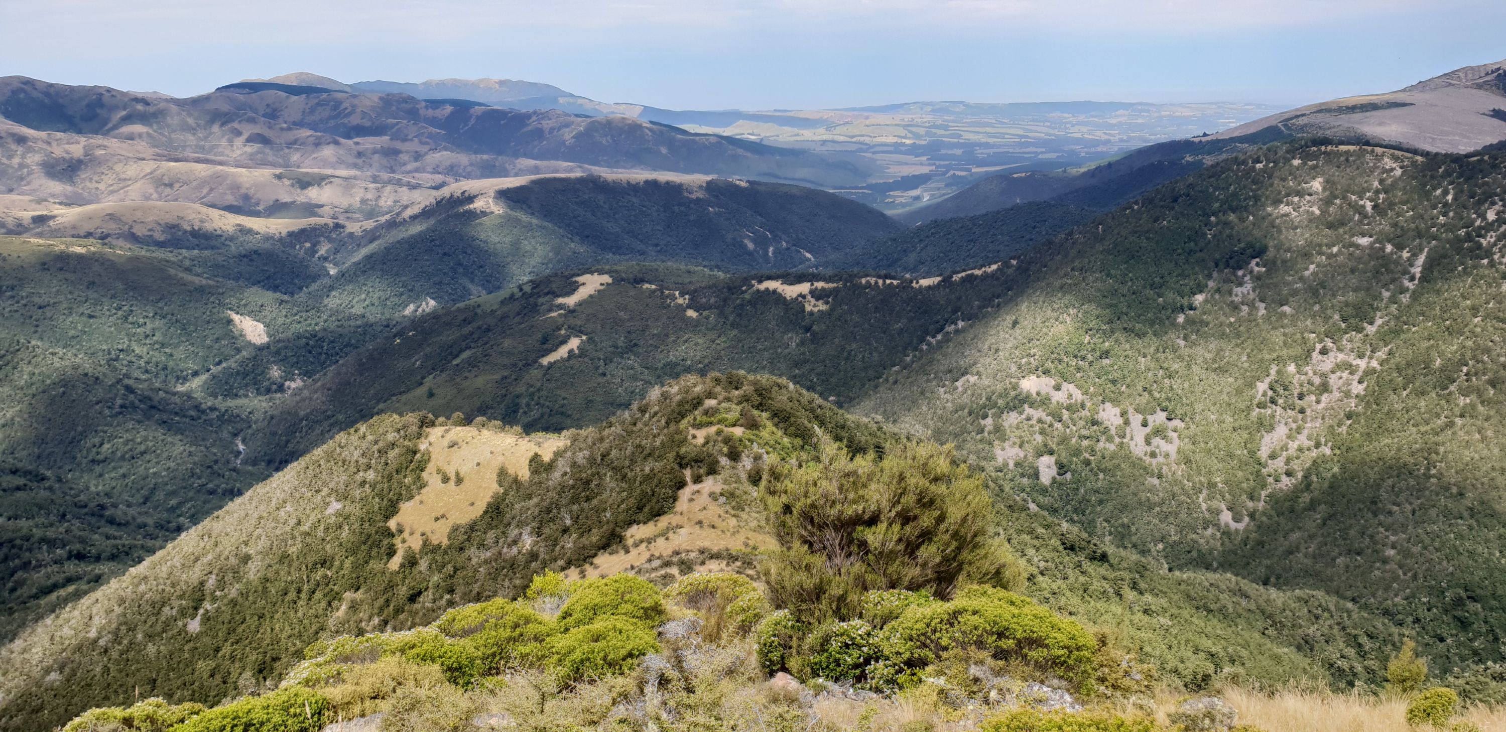 Mt Thomas Routes and Ridges, Canterbury - Trails Photo Gallery - Wild ...