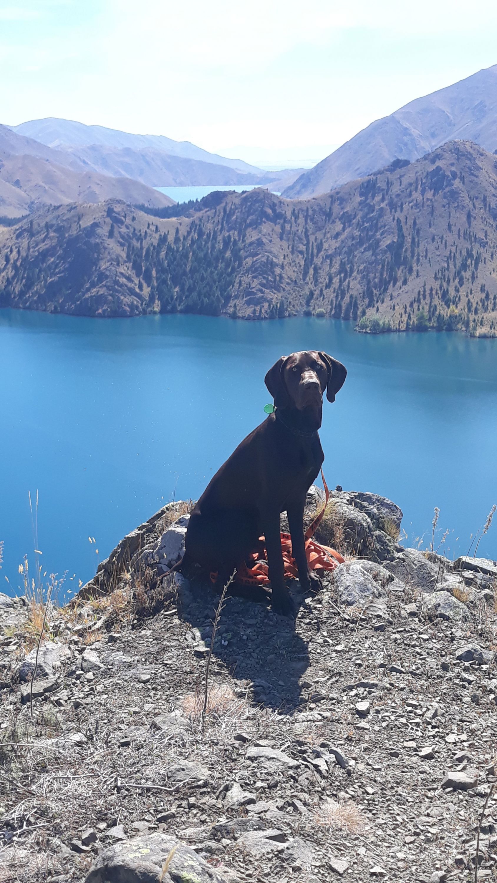 Benmore Peninsula Track , Otago - Trails Photo Gallery - Wild Things