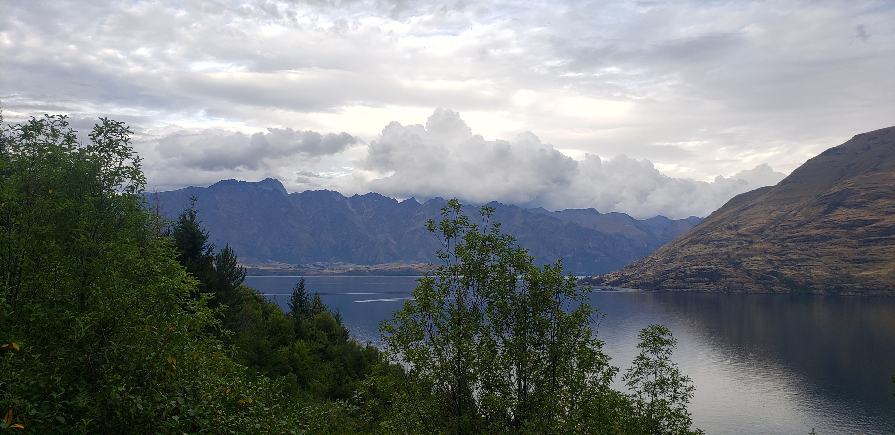 Arawata Track, Otago - Trails Photo Gallery - Wild Things