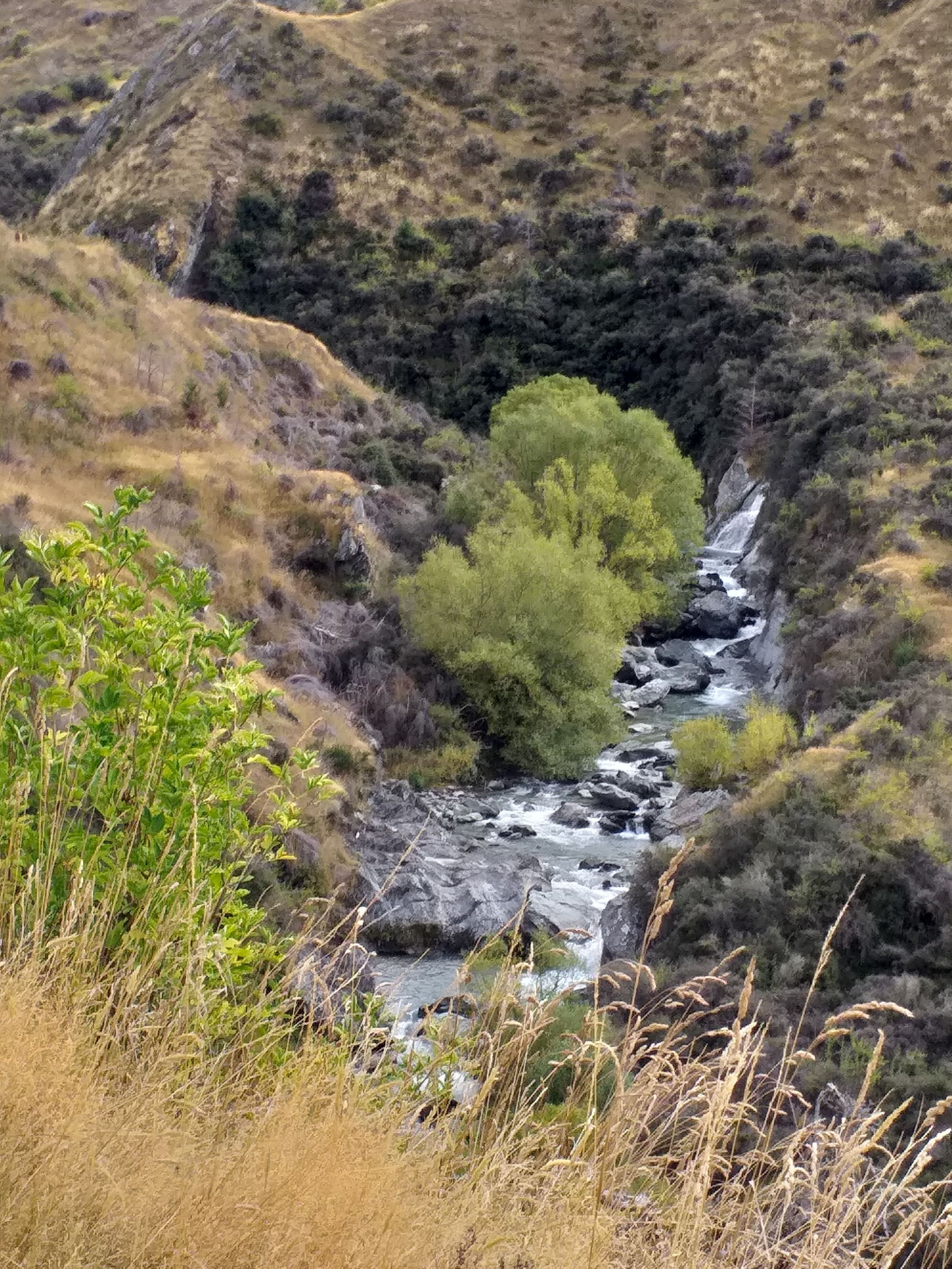 Miners Trail, Otago - Trails Photo Gallery - Wild Things