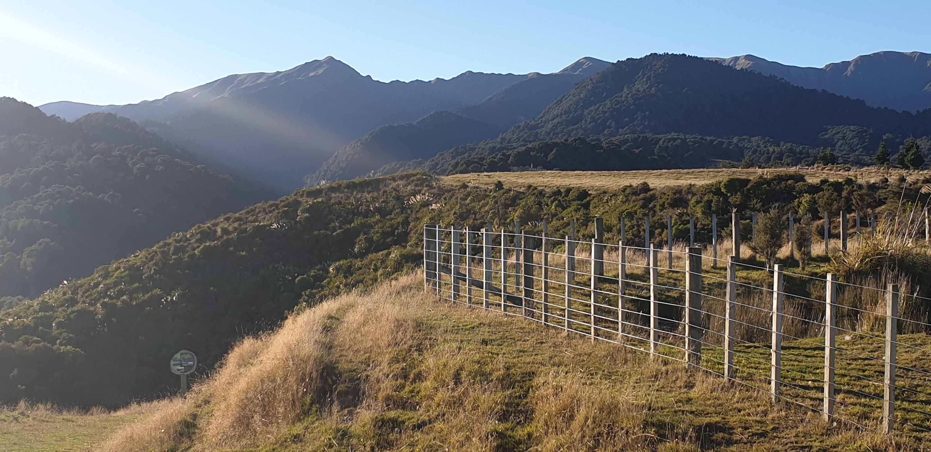 Iron Gate Hut to Tunupo High Point Loop, Manawatu - Wanganui - Trails ...