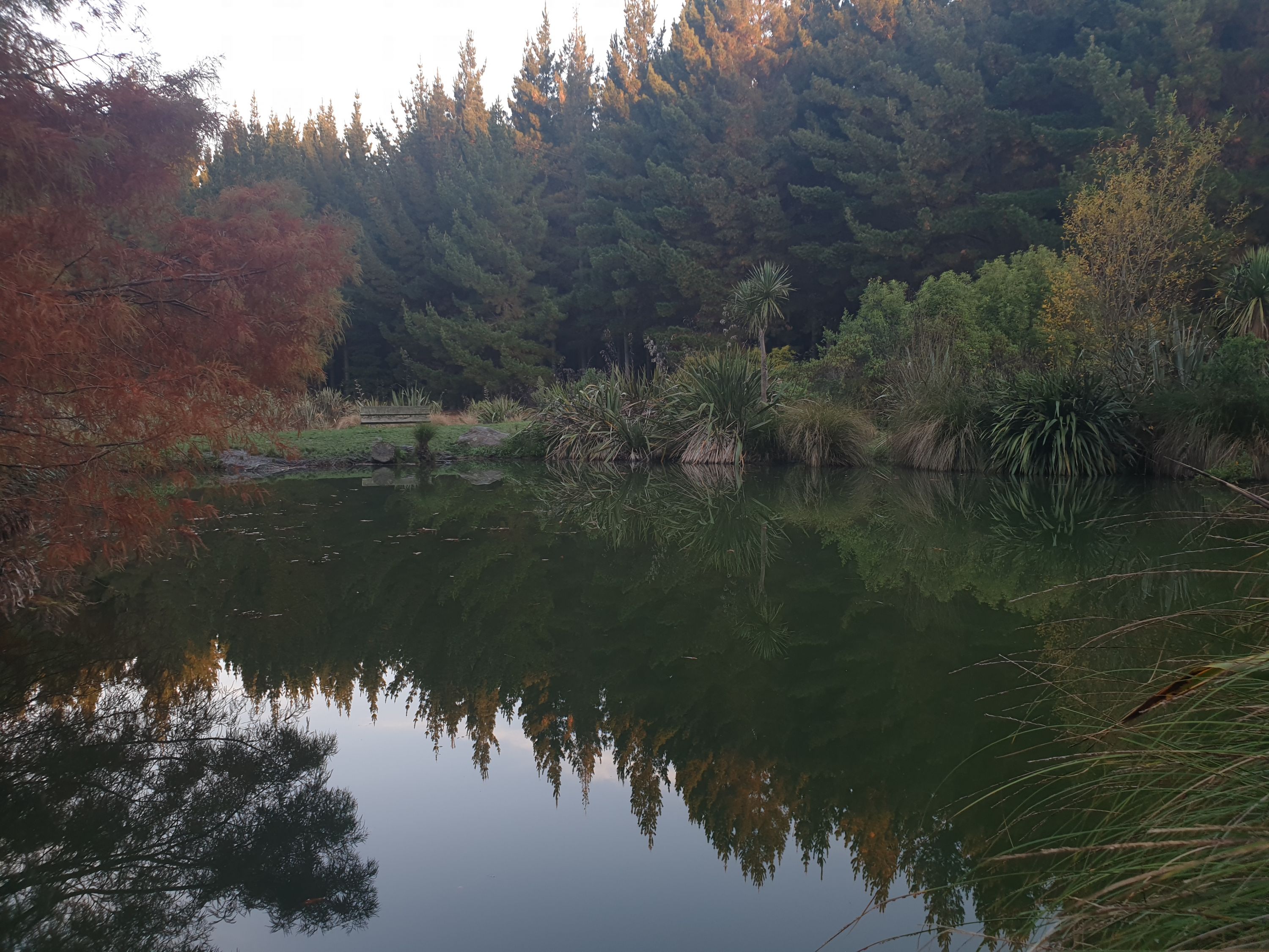 Bottle Lake Blue Loop, Canterbury - Trails Photo Gallery - Wild Things