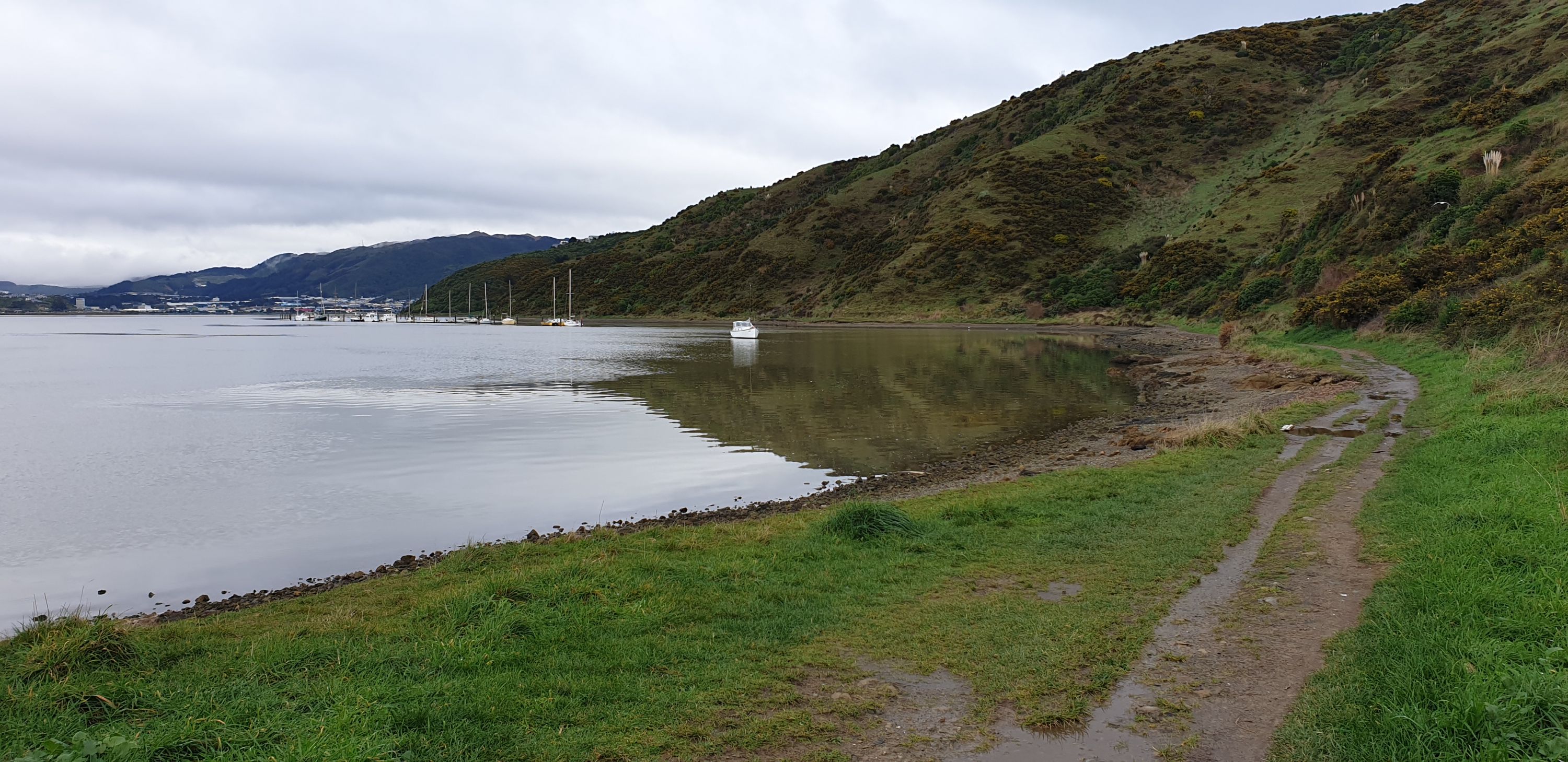 Whitireia Circuit, Wellington - Trails Photo Gallery - Wild Things