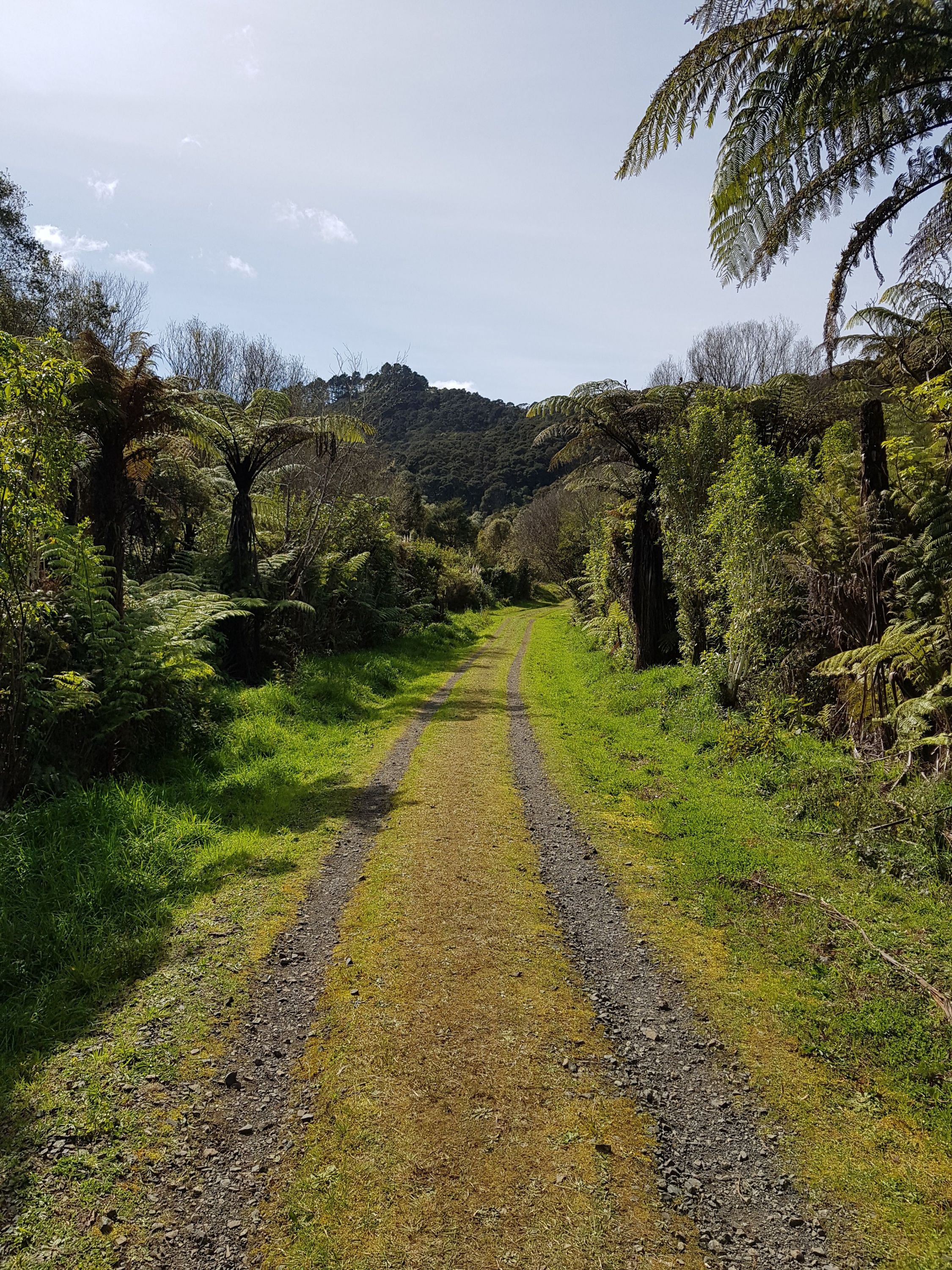 Hunua Hustle, Auckland - Trails Photo Gallery - Wild Things