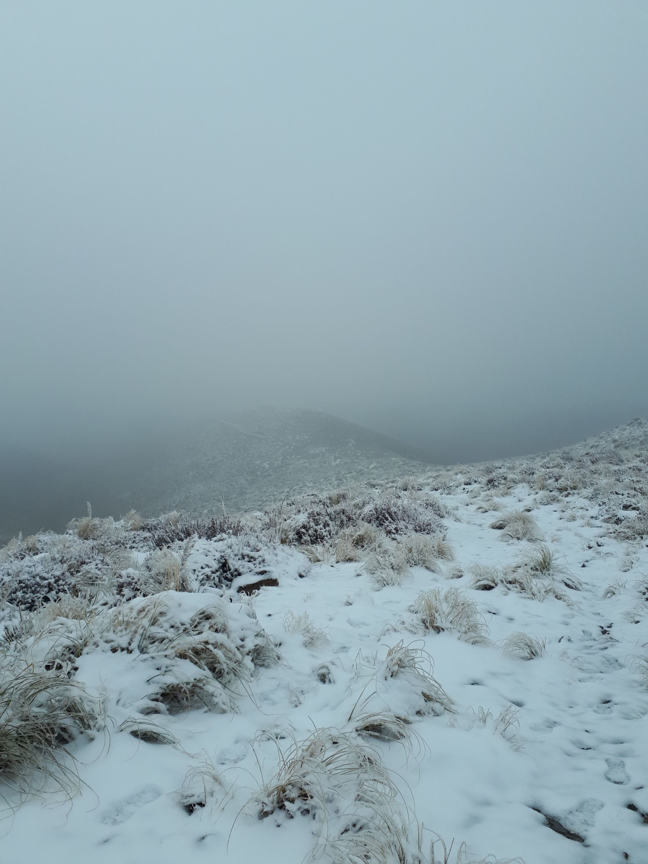 Mt Nimrod Easement Track, Canterbury - Trails Photo Gallery - Wild Things