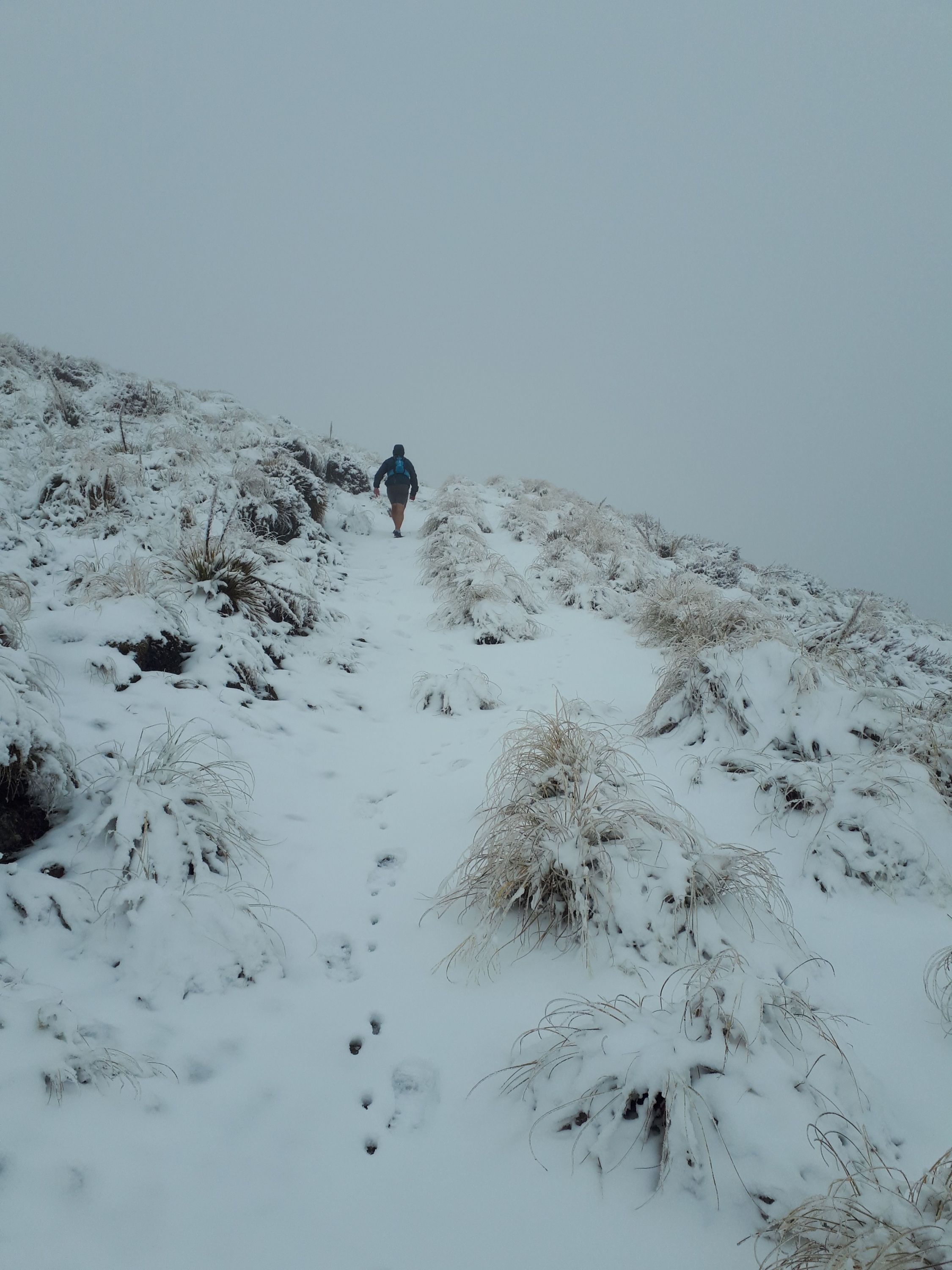 Mt Nimrod Easement Track, Canterbury - Trails Photo Gallery - Wild Things