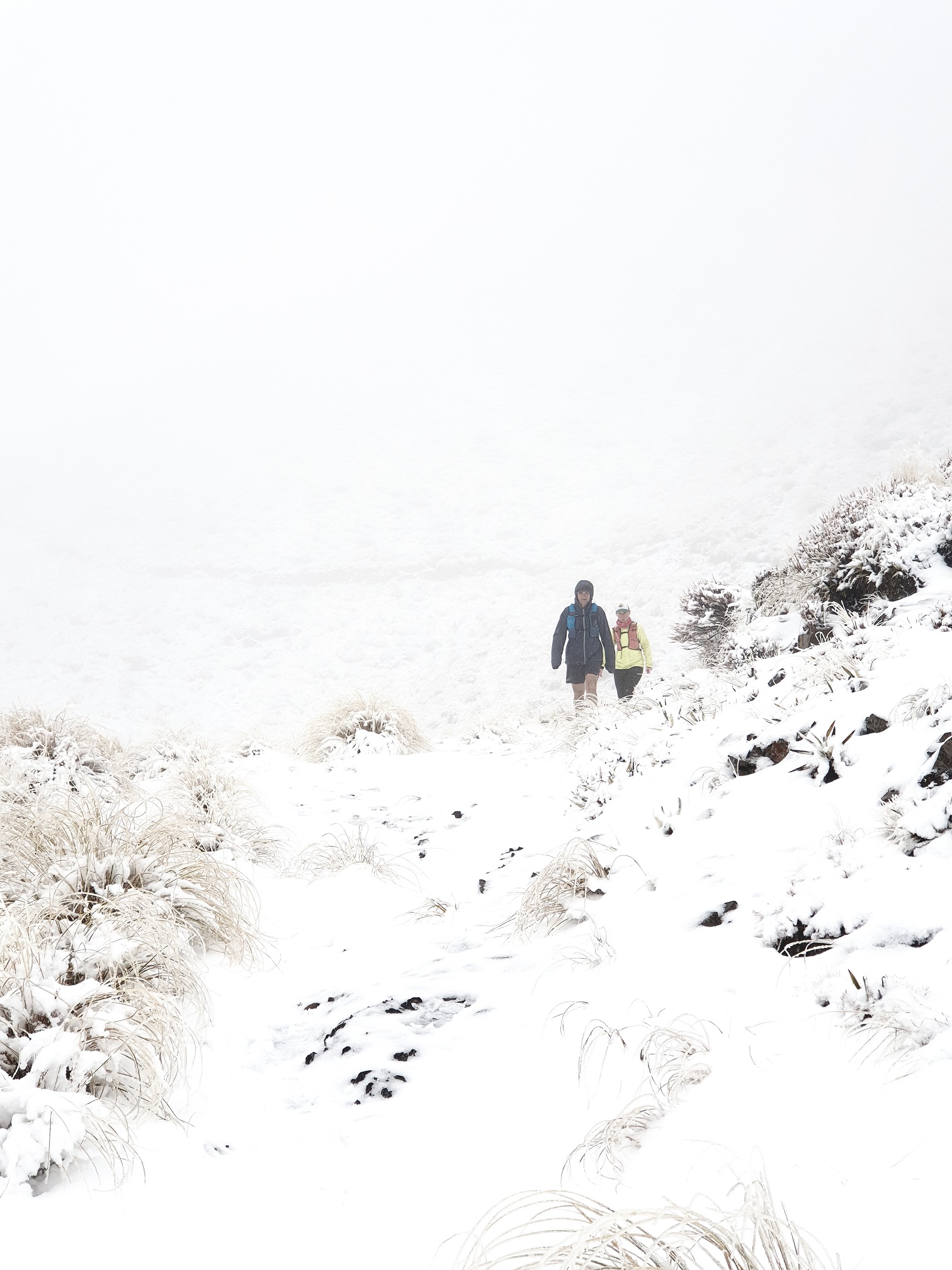 Mt Nimrod Easement Track, Canterbury - Trails Photo Gallery - Wild Things