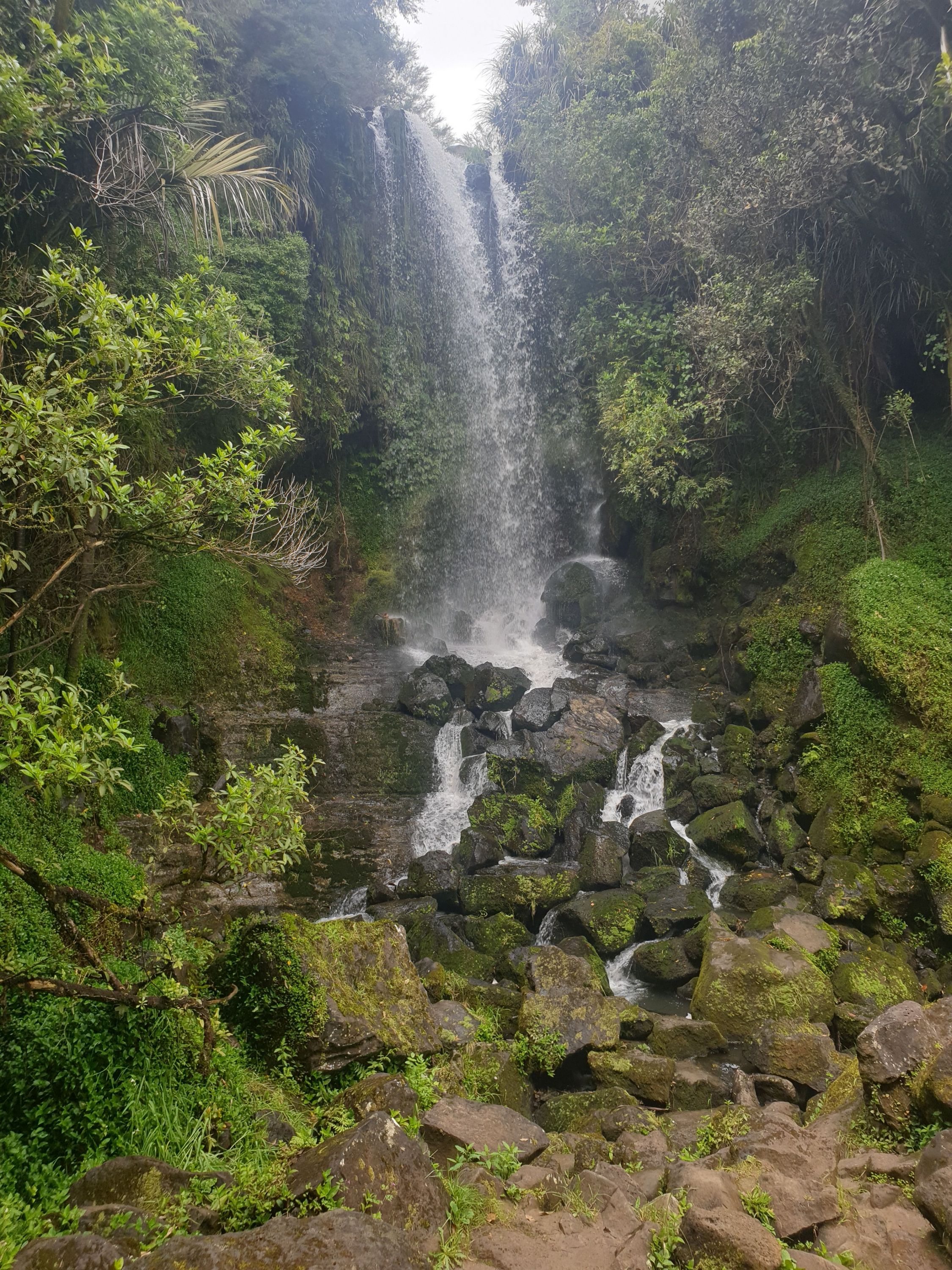 Harker Reserve to Vivian Falls, Waikato - Trails Photo Gallery - Wild ...