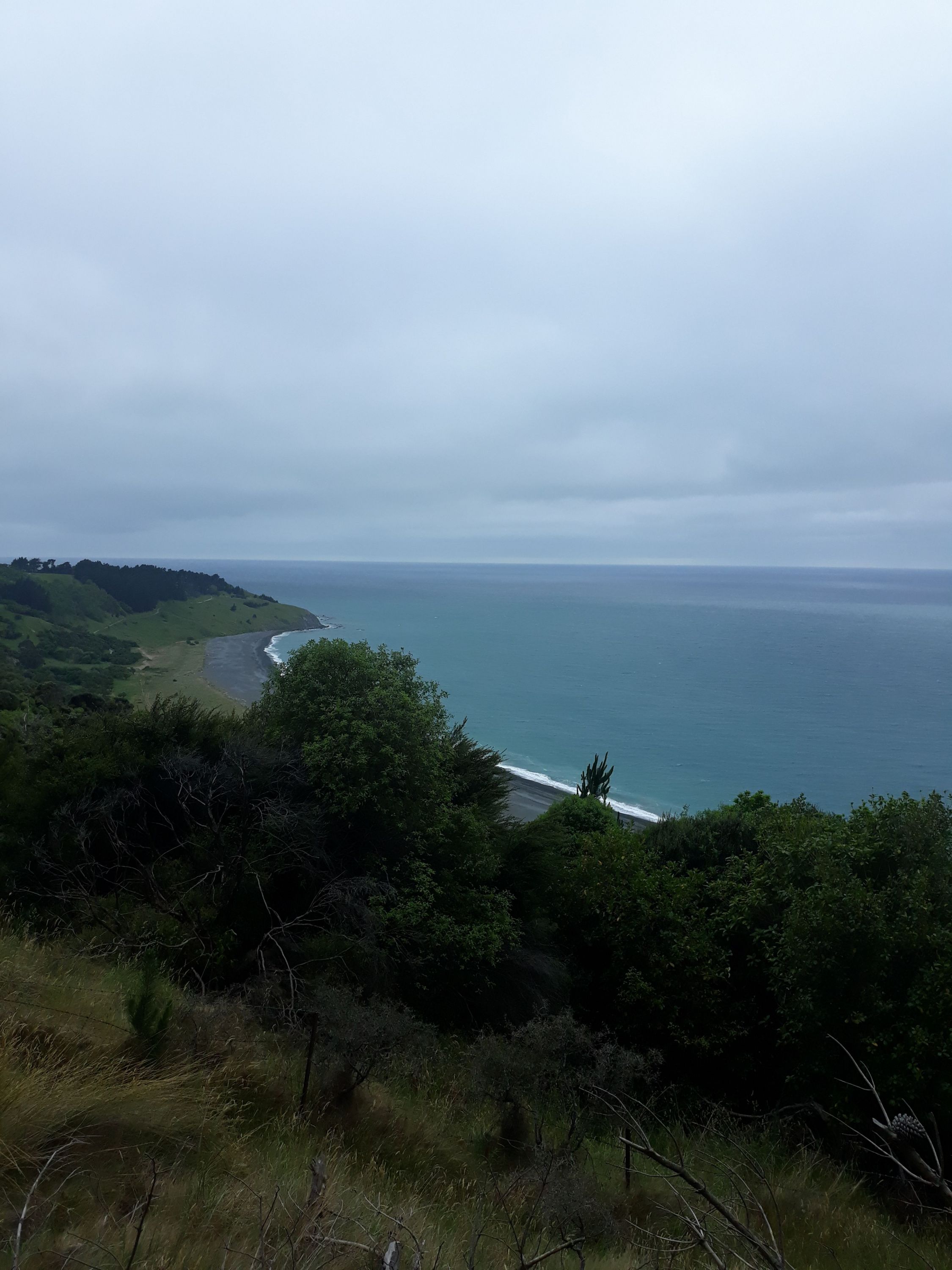 Manuka Bay Track, Canterbury - Trails Photo Gallery - Wild Things