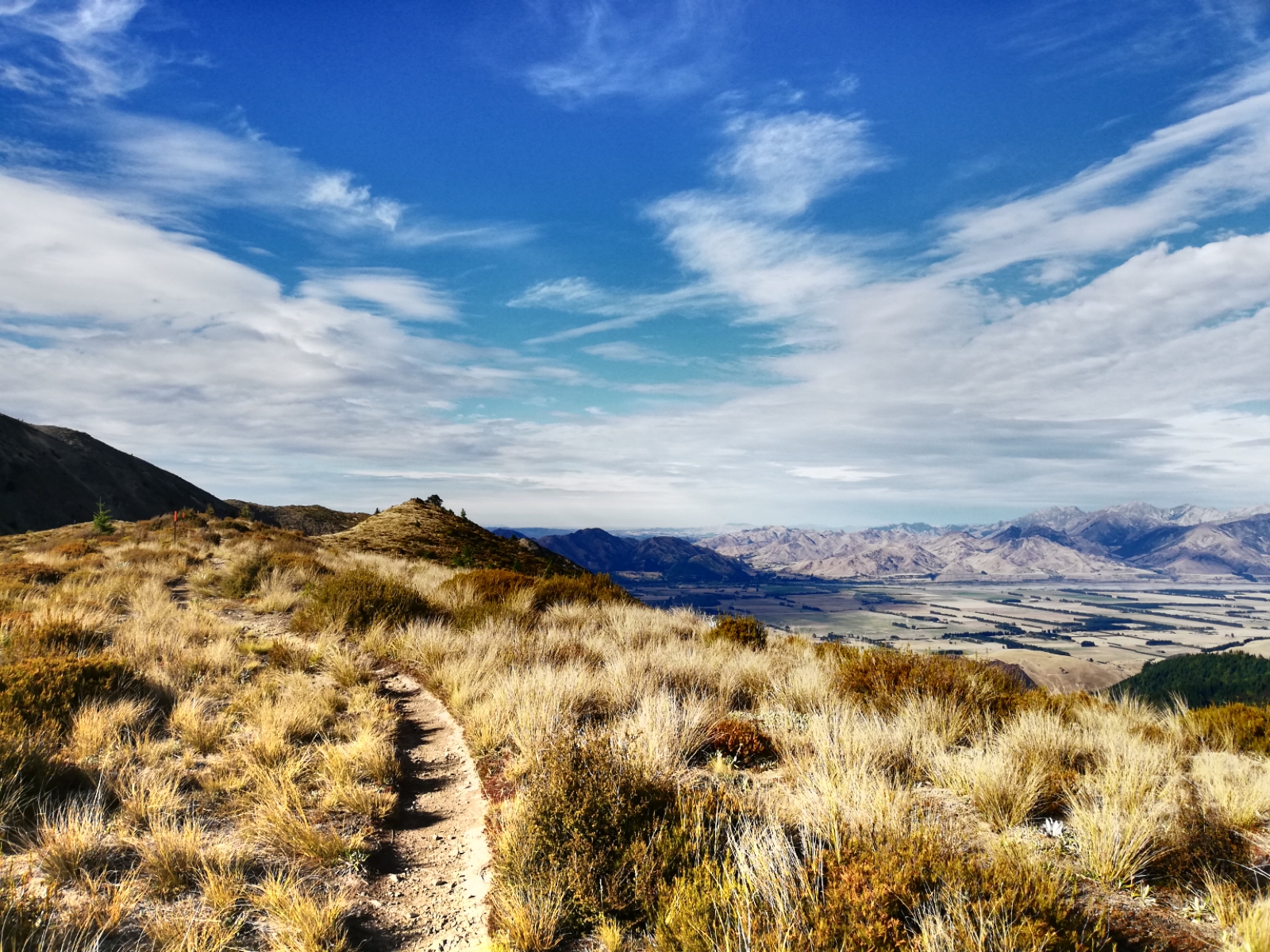 Mt Isobel Long Loop, Canterbury - Trails Photo Gallery - Wild Things