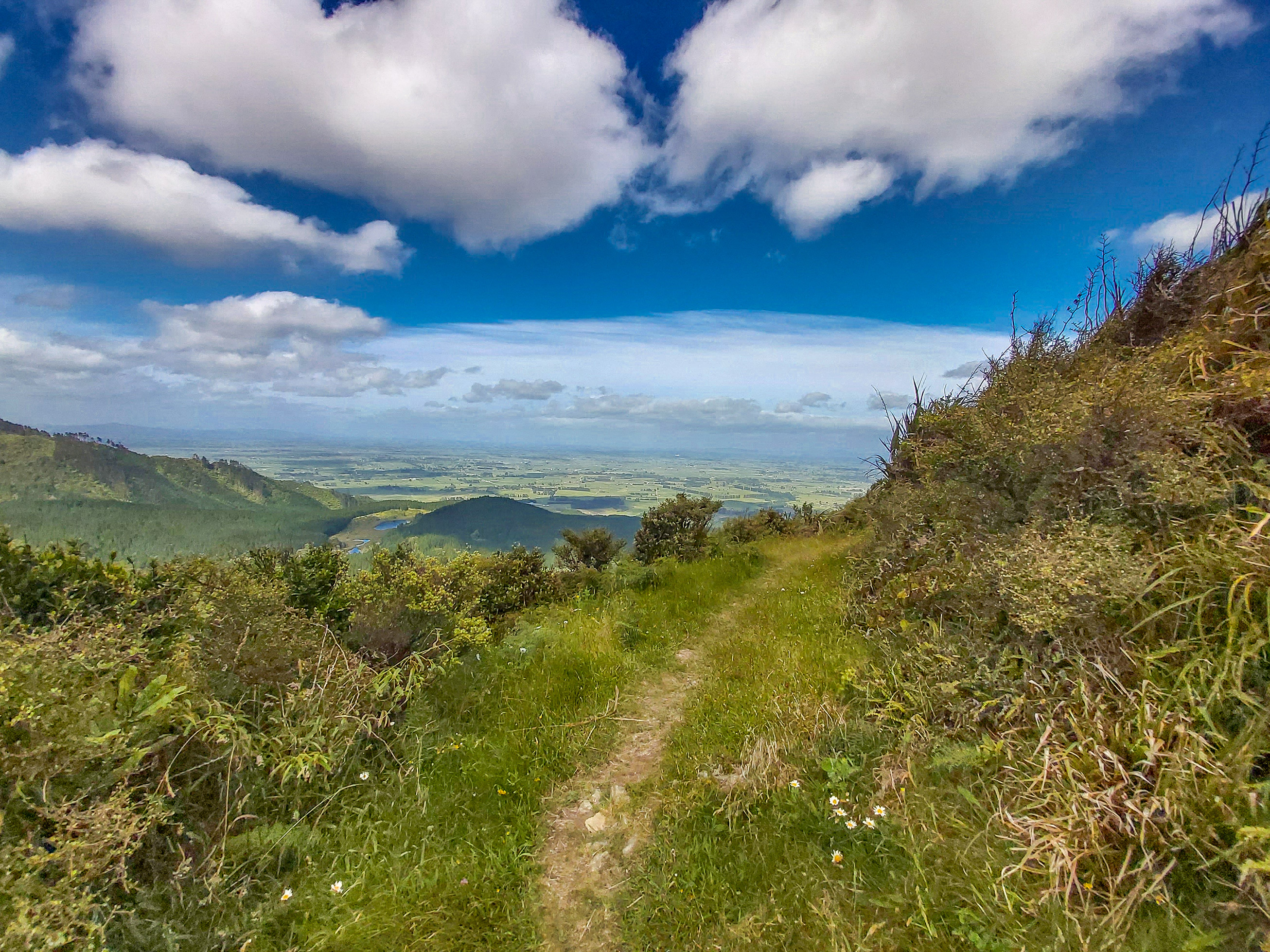 Tuahu Traverse, Bay of Plenty - Trails Photo Gallery - Wild Things