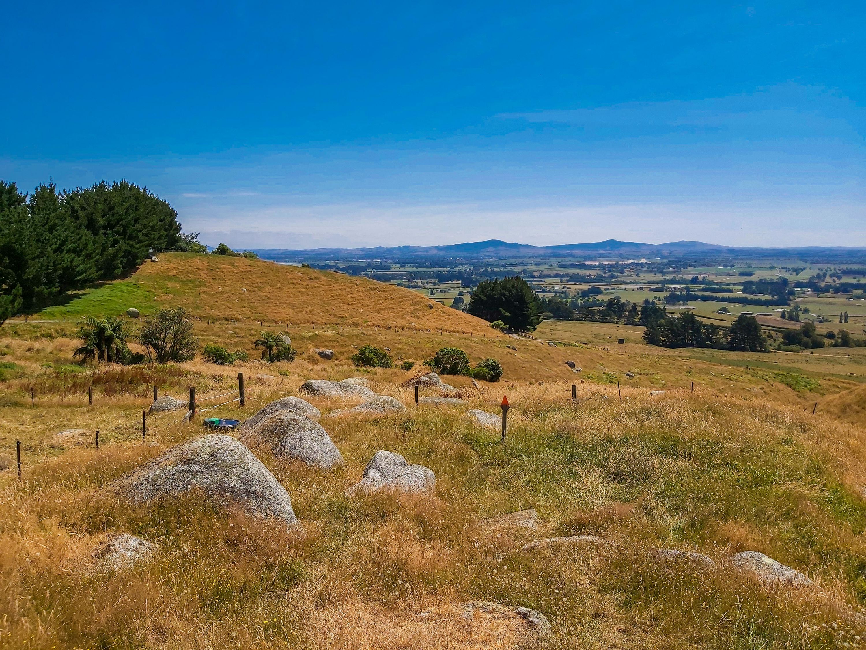 Te Tuhi Wairere Loop, Waikato - Trails Photo Gallery - Wild Things
