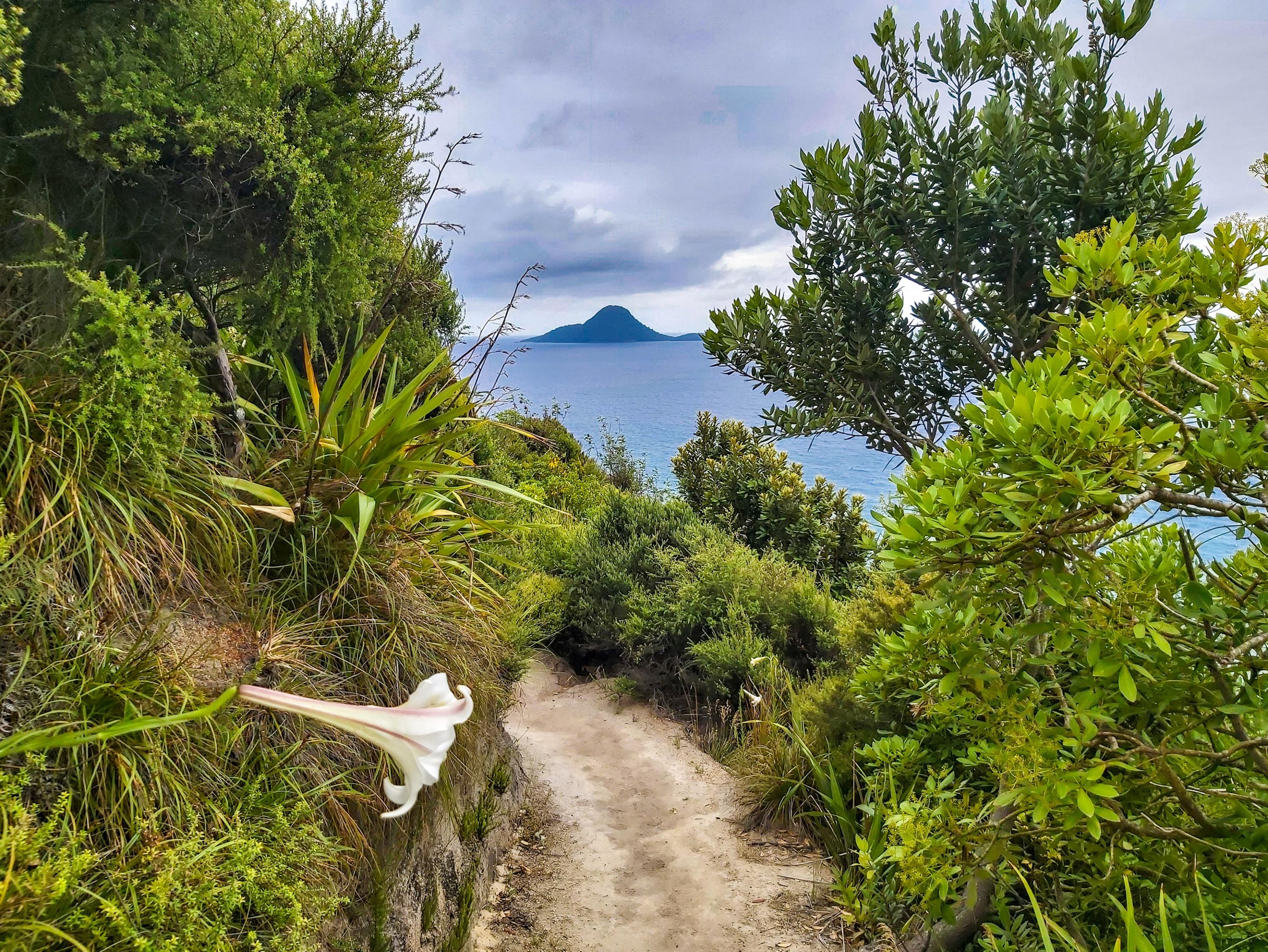 Nga Tapuwae o Toi Trail, Bay of Plenty - Trails Photo Gallery - Wild Things