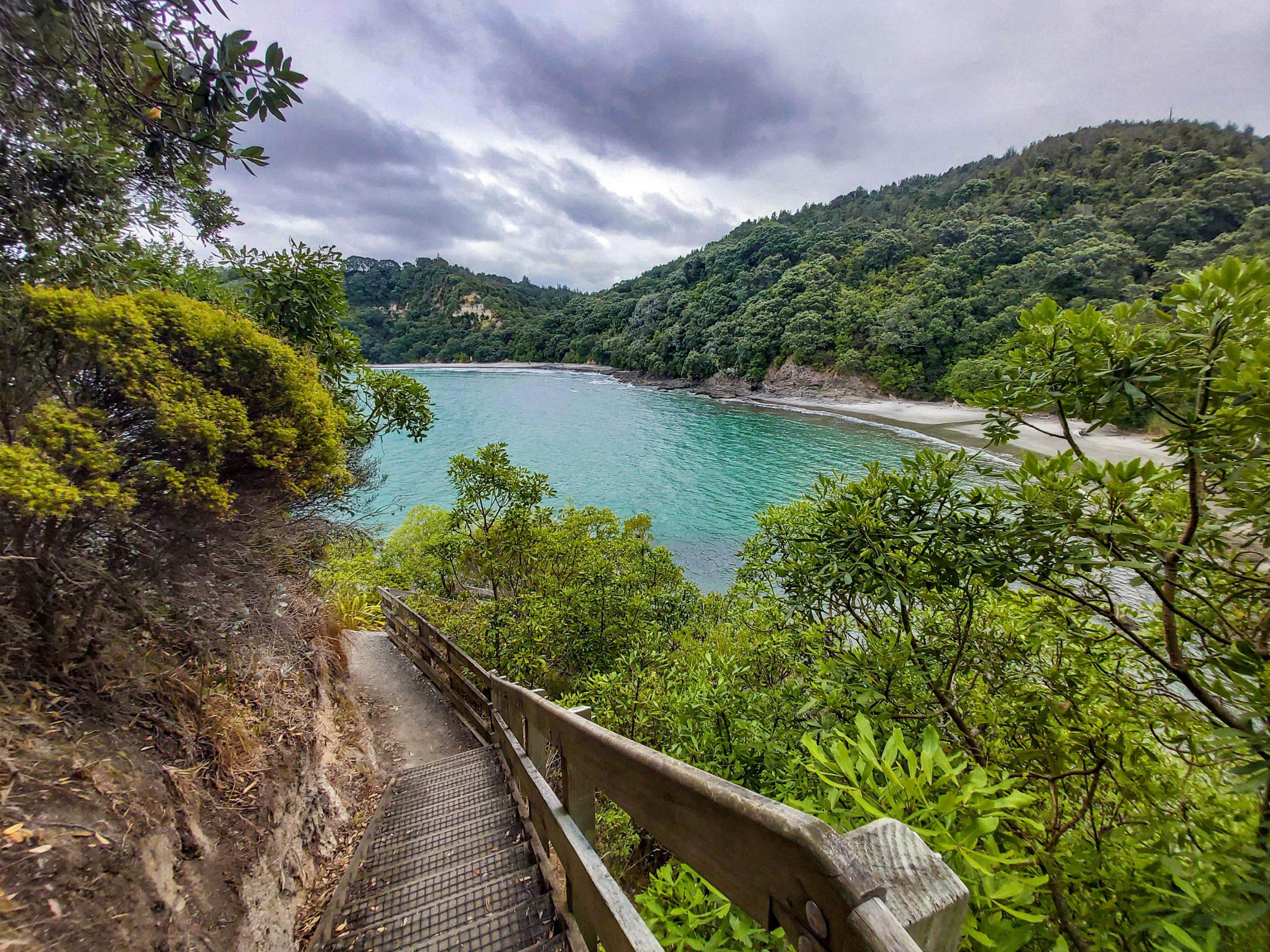Nga Tapuwae o Toi Trail, Bay of Plenty - Trails Photo Gallery - Wild Things