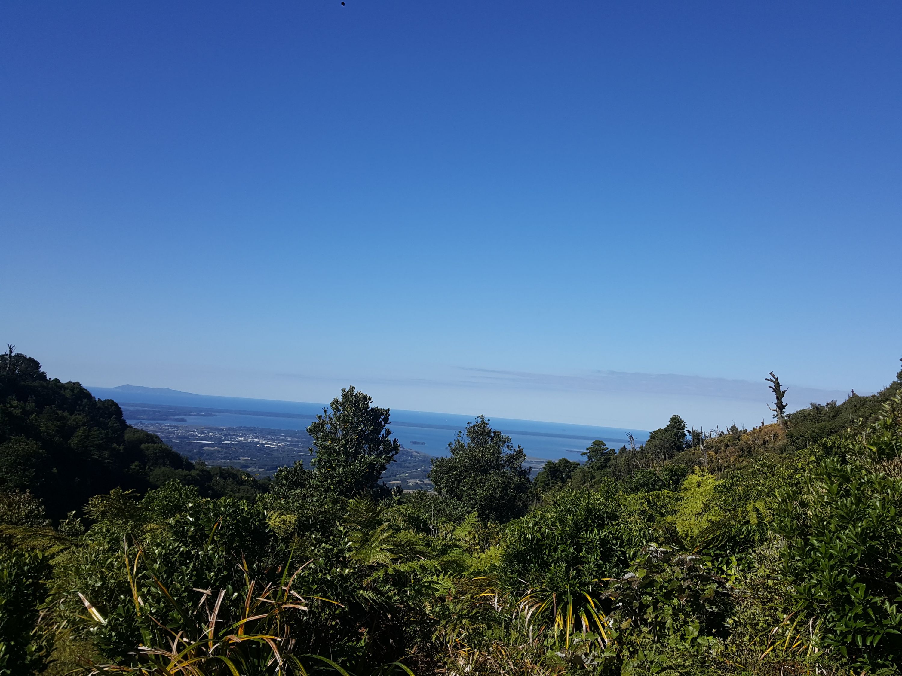 Tuahu Traverse, Bay of Plenty - Trails Photo Gallery - Wild Things