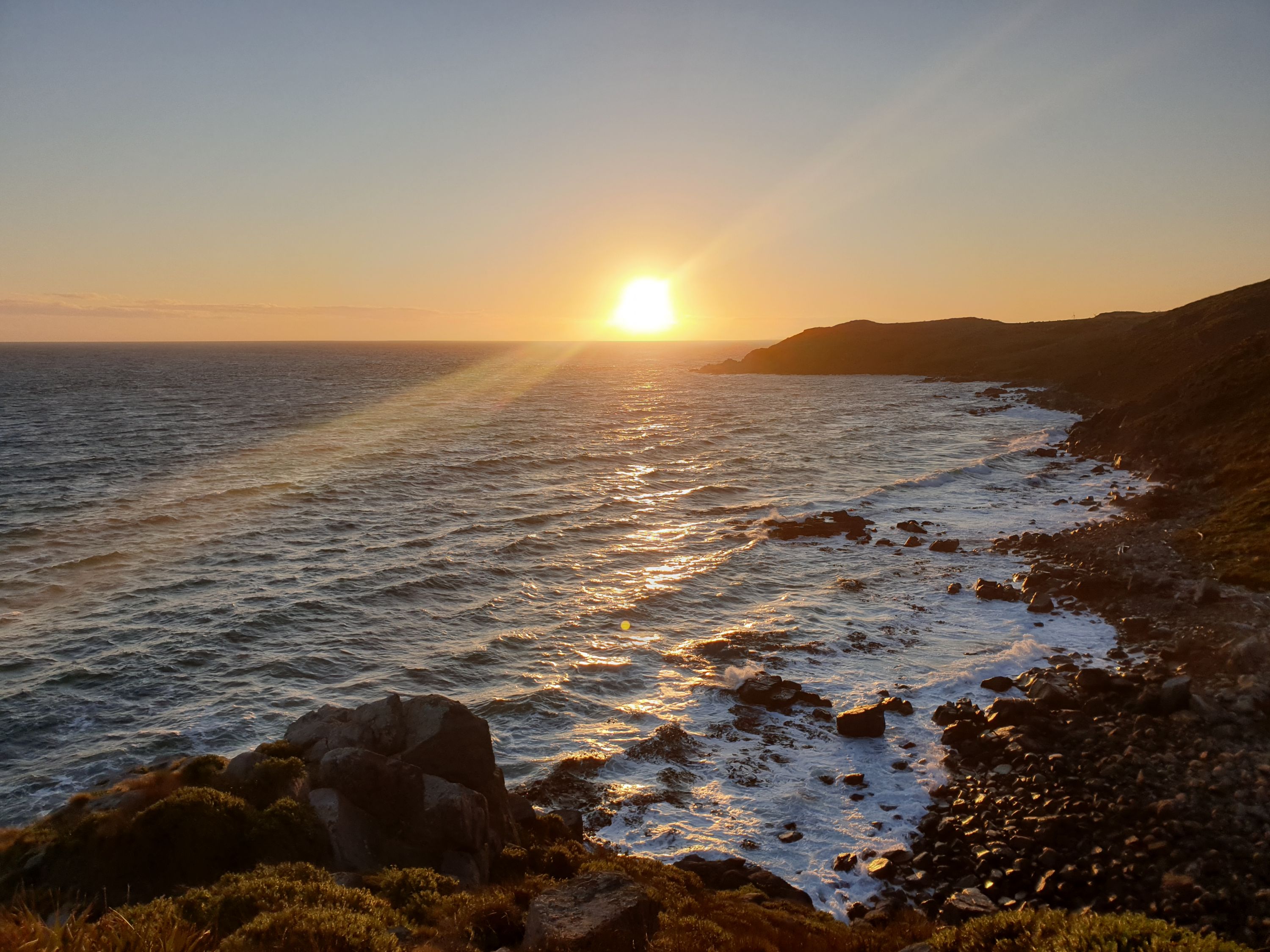Bluff Hill Loops, Southland - Trails Photo Gallery - Wild Things