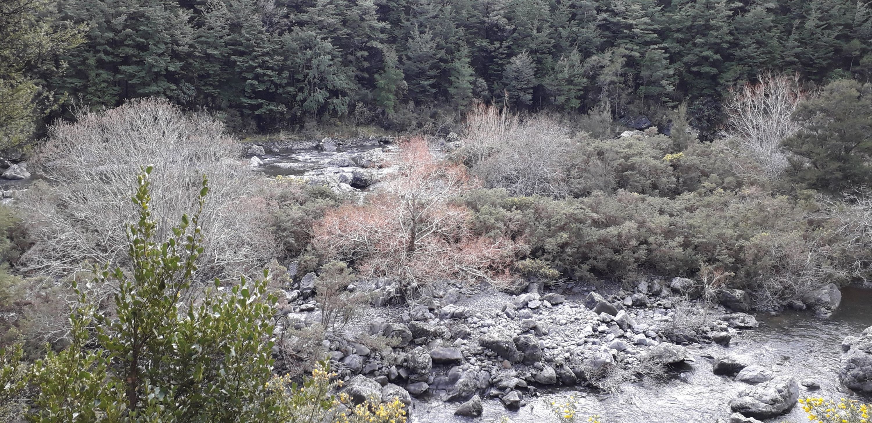 Pinchgut Hut, Canterbury - Trails Photo Gallery - Wild Things